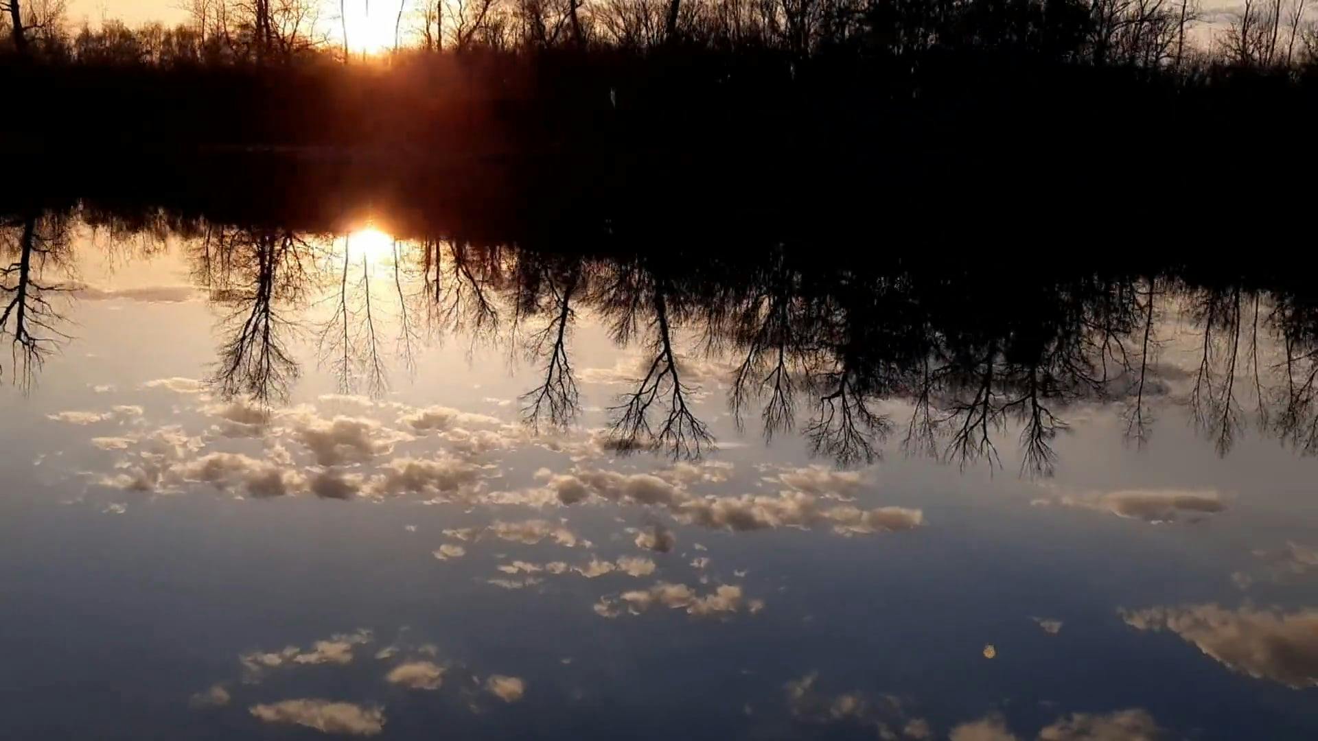 Distorted Reflections Of A Lake Surrounding On Its Water Surface · Free ...