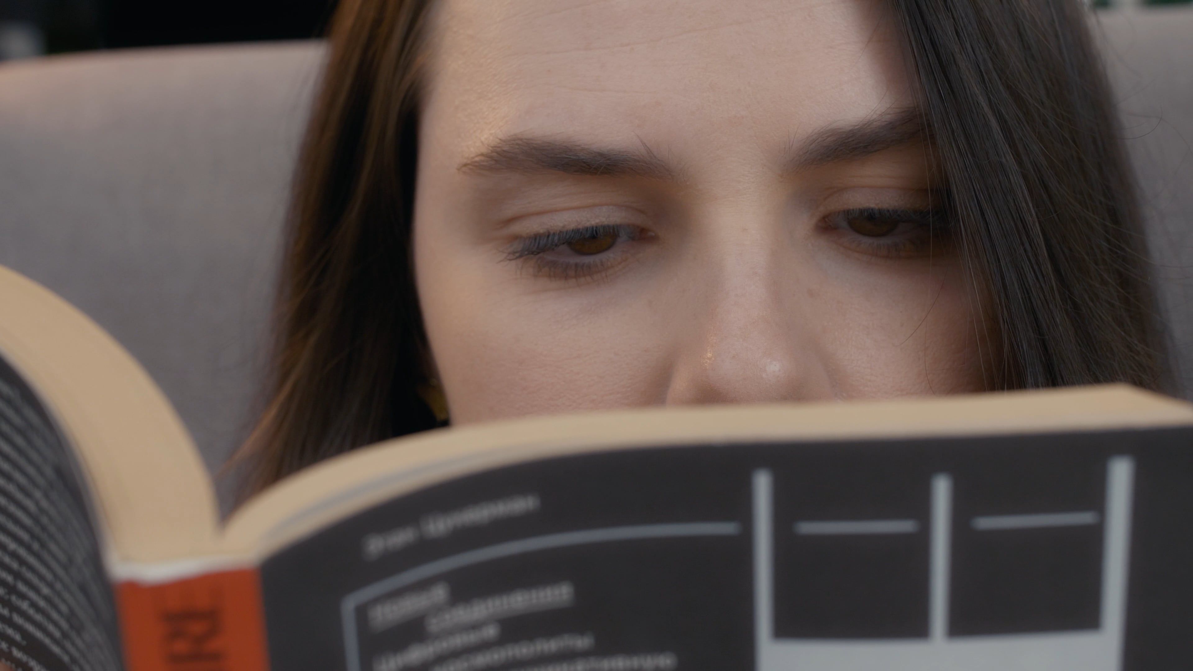Woman Reading a Book · Free Stock Video