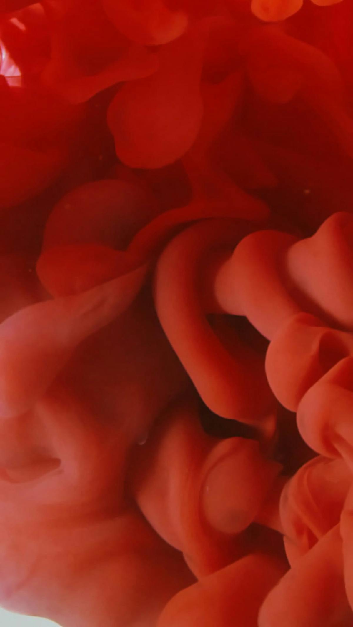 Granny Shower Videos, Download The BEST Free 4k Stock Video Footage & Granny Shower HD Video Clips