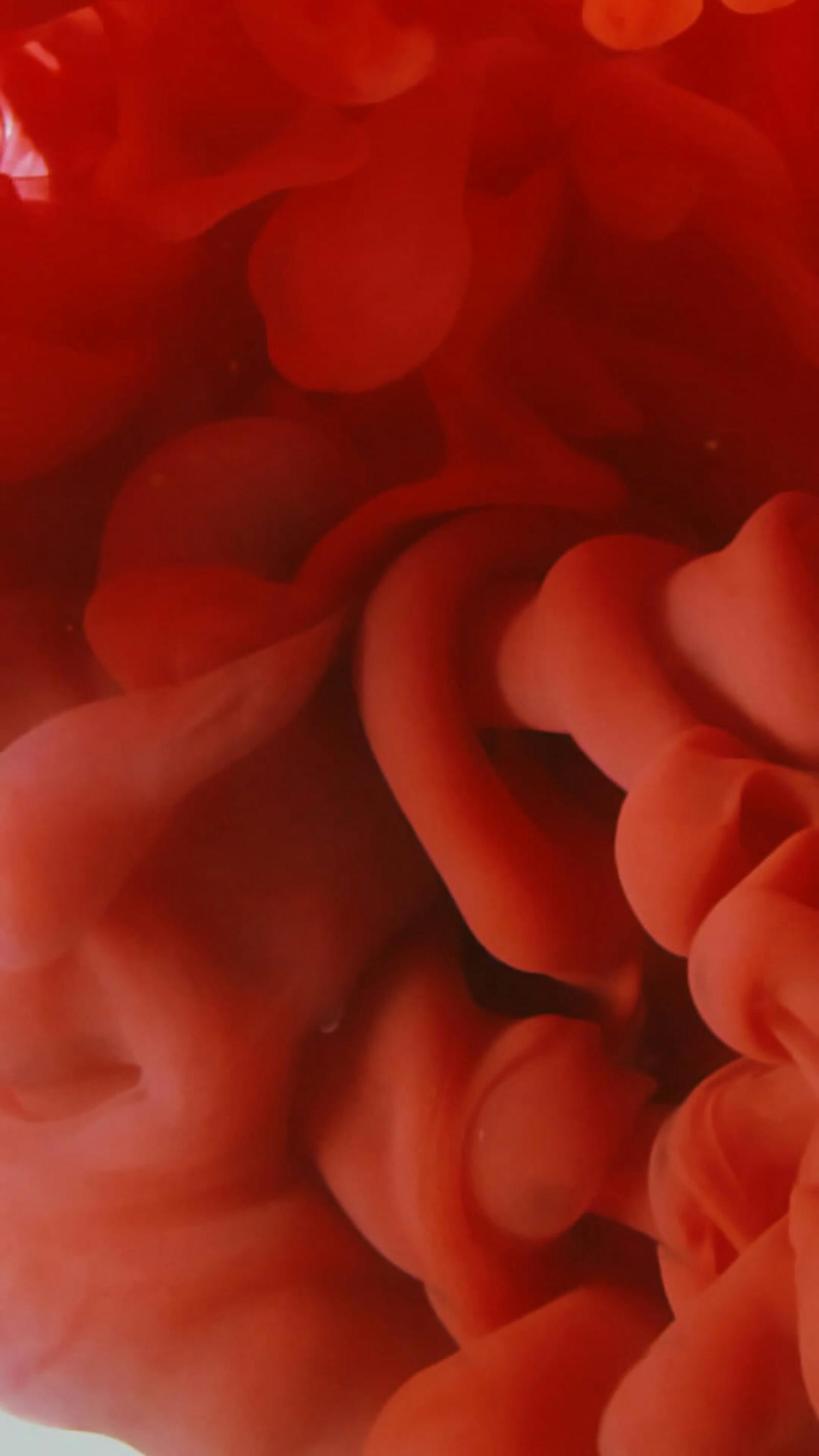 Granny Shower Videos, Download The BEST Free 4k Stock Video Footage & Granny Shower HD Video Clips