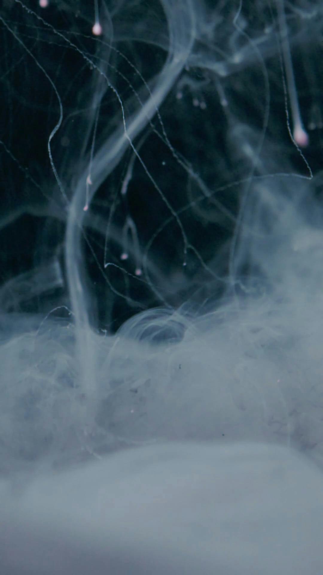 Vertical Underwater Videos, Download The BEST Free 4k Stock Video ...