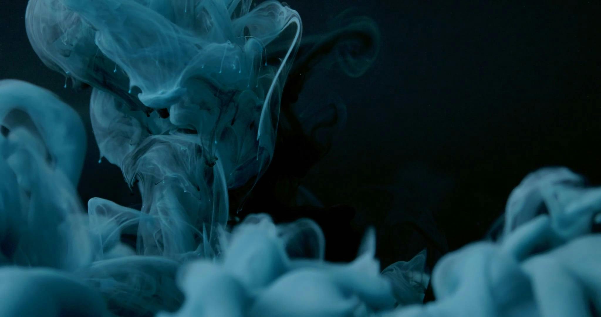 Unique Registration Form Background Videos, Download The BEST Free 4k ...