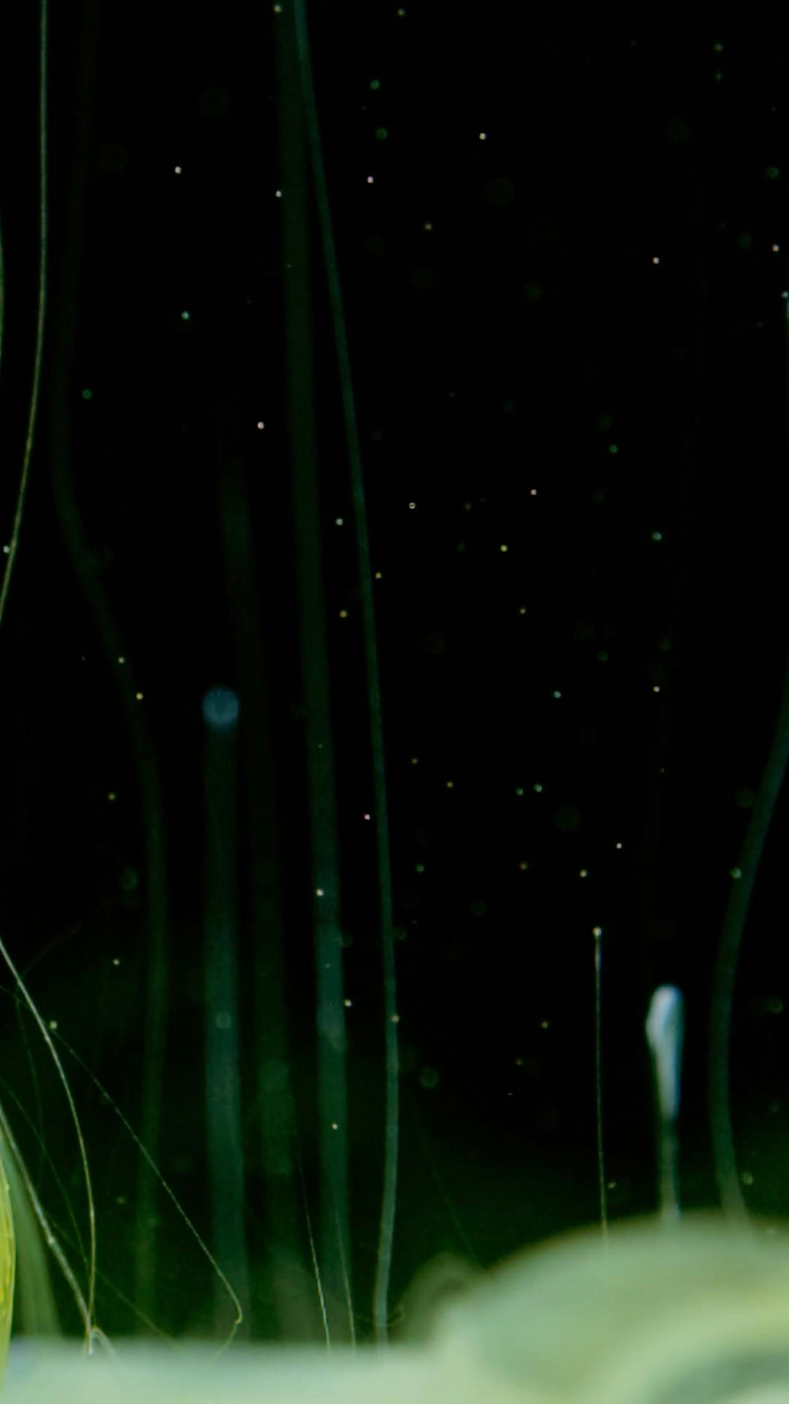 Random Videos, Download The BEST Free 4k Stock Video Footage & Random ...