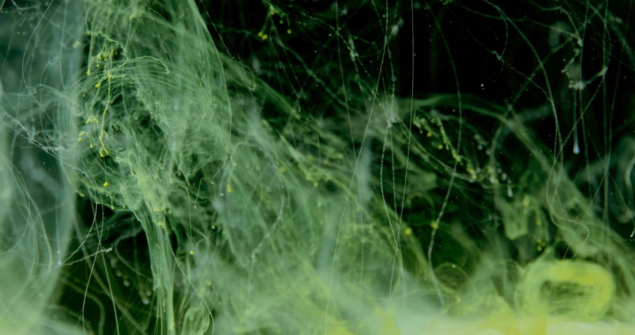 Color Hd Background Videos, Download The BEST Free 4k Stock Video ...