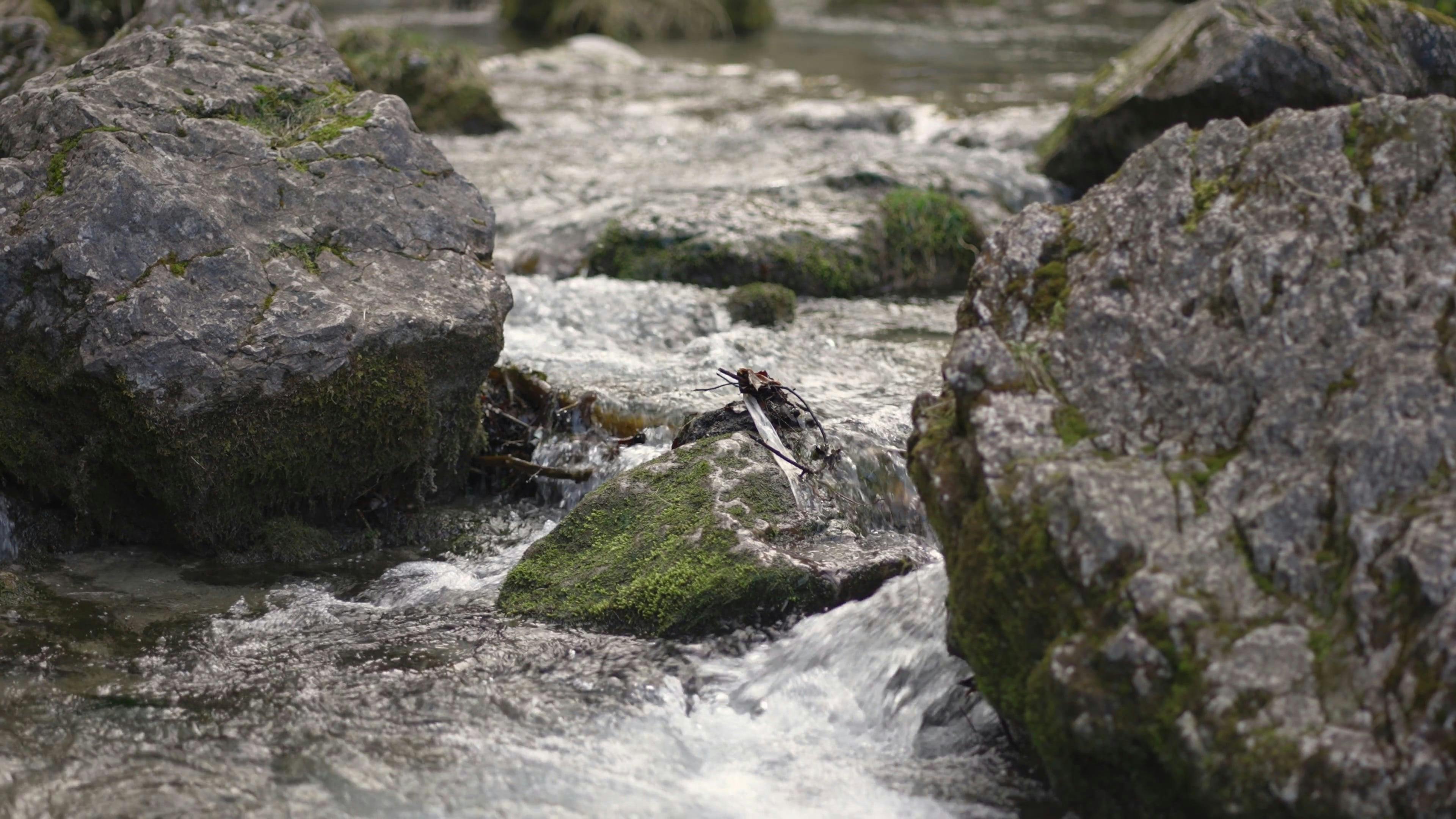 Boulders Of Rocks Formation On The Riverside Of A River In The Forest ...
