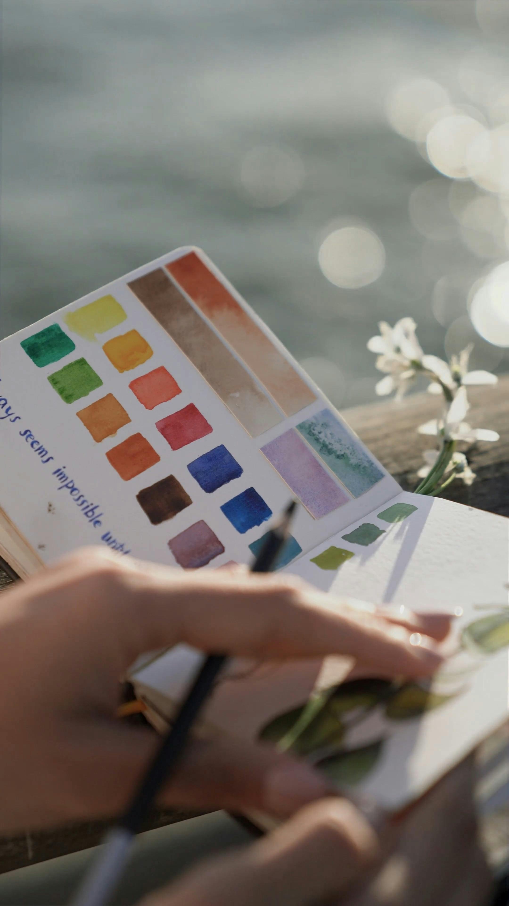 Landscape Coloring Pages Videos, Download The BEST Free 4k Stock Video ...