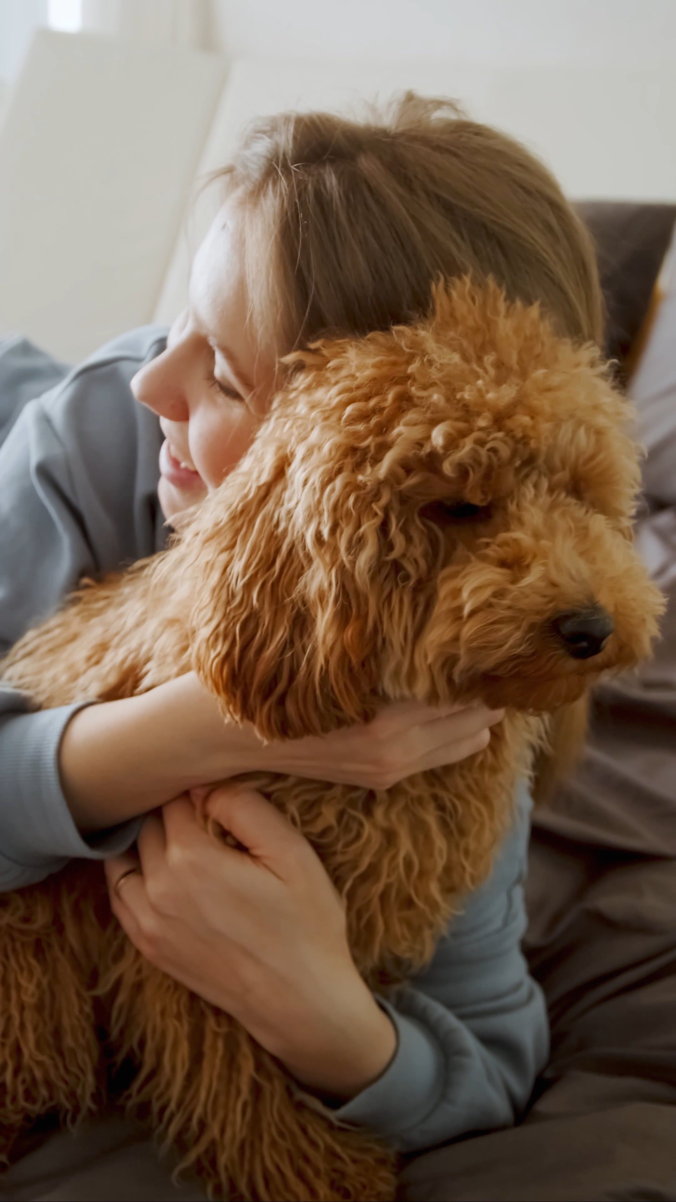 Goldendoodle Walking Videos, Download The BEST Free 4k Stock Video ...