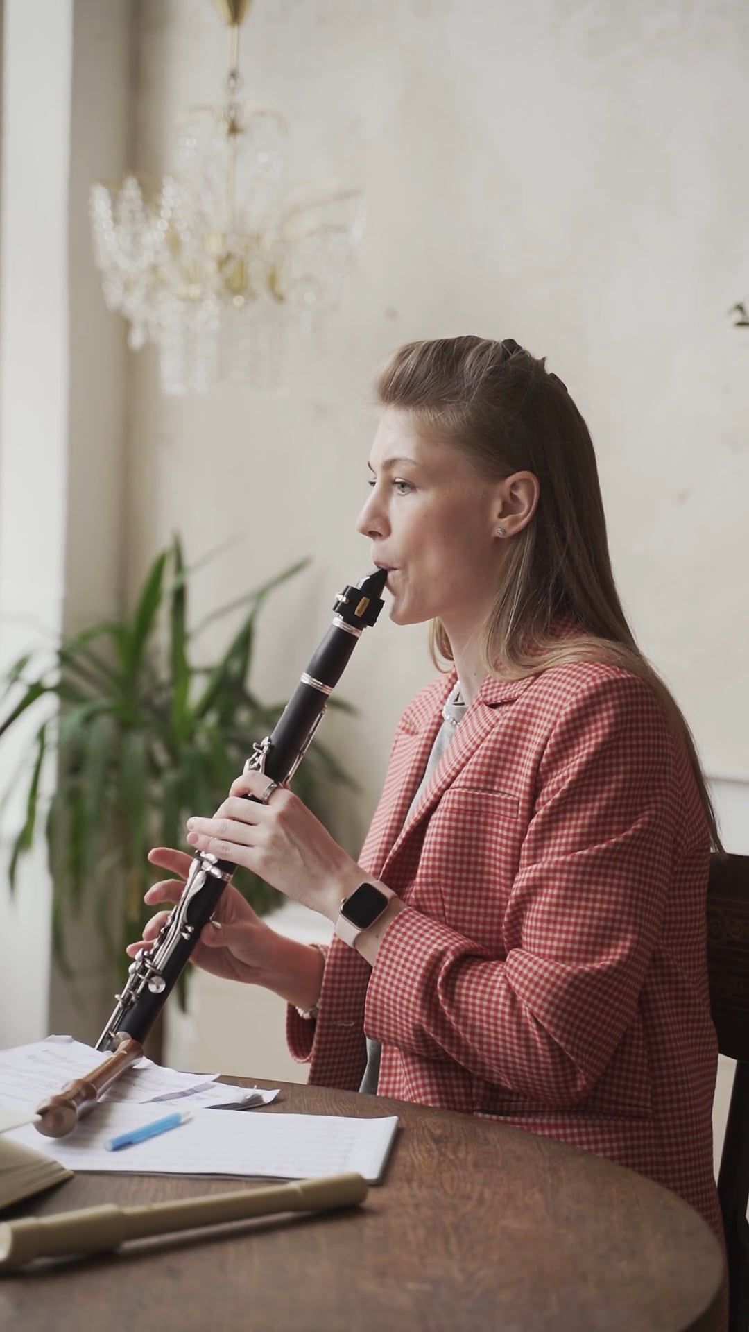 Clarinet Music Videos, Download The BEST Free 4k Stock Video Footage ...