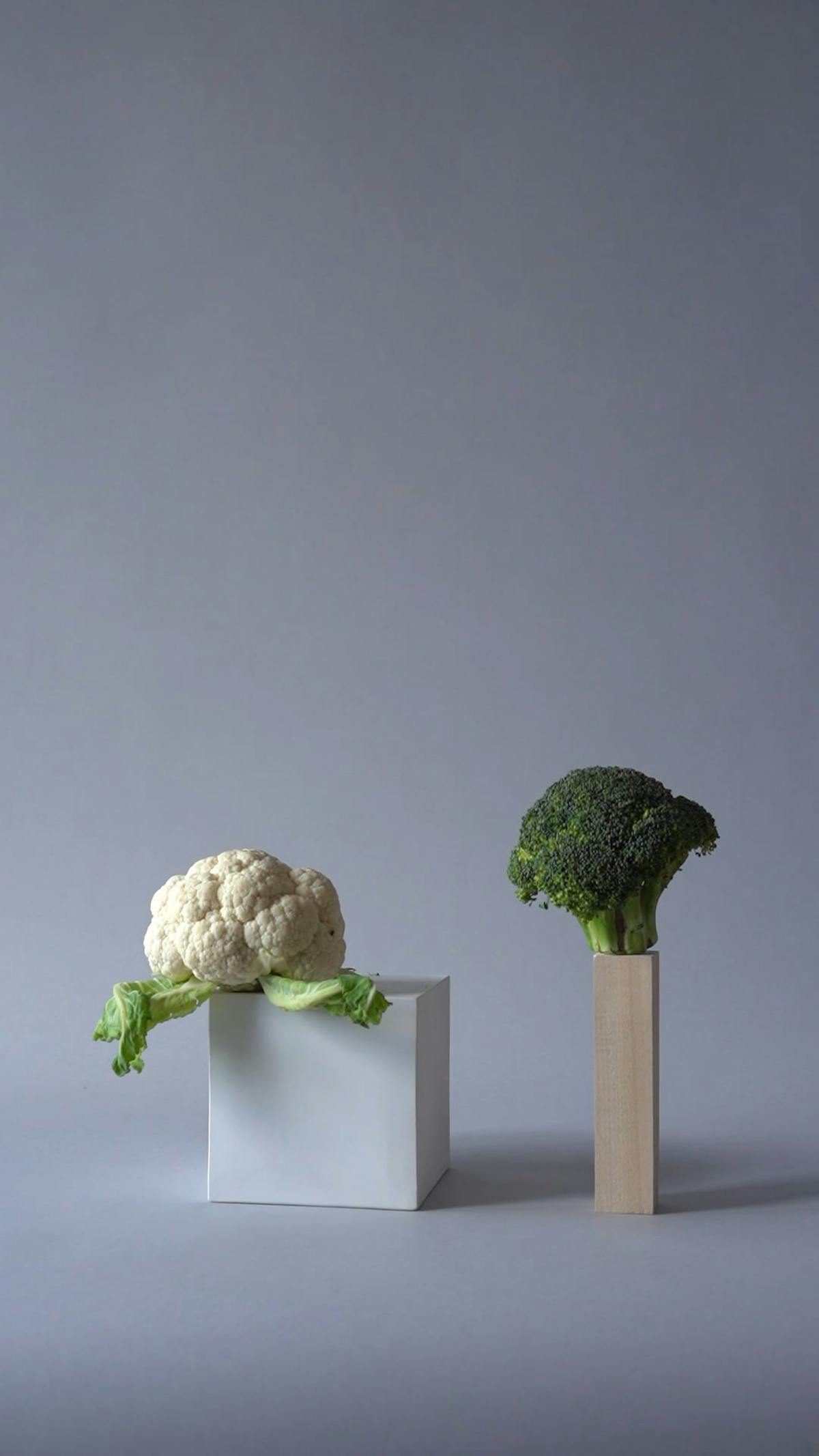 Baguette Pfp Videos, Download The BEST Free 4k Stock Video Footage ...