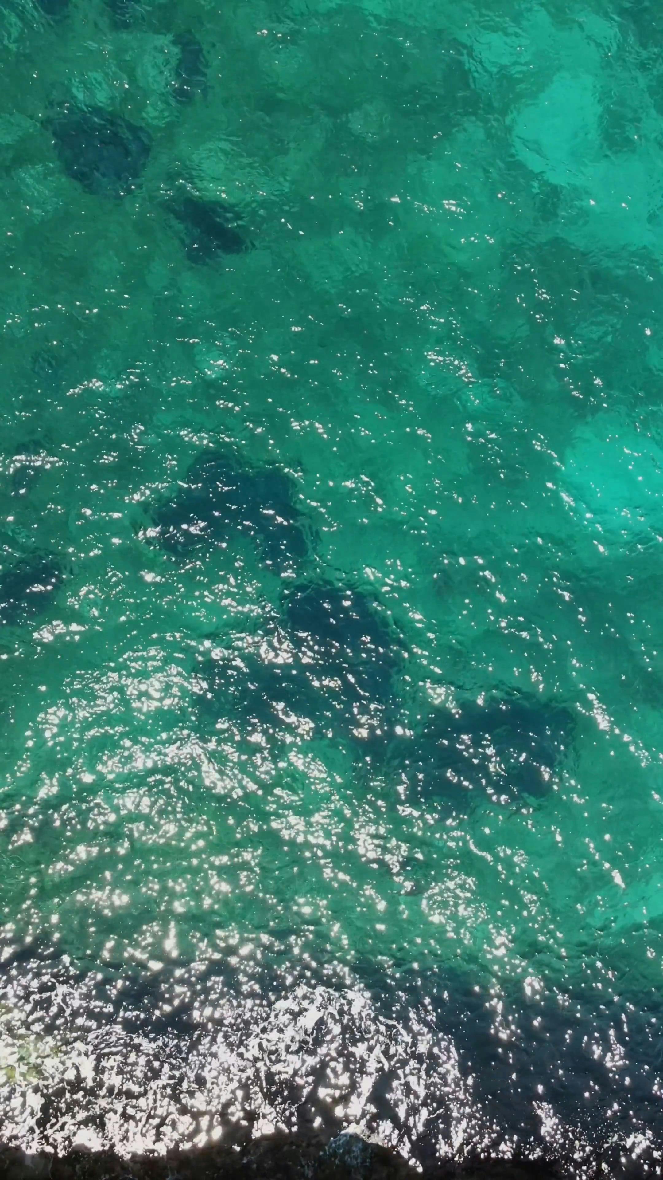 Top View of Clear Sea Water · Free Stock Video