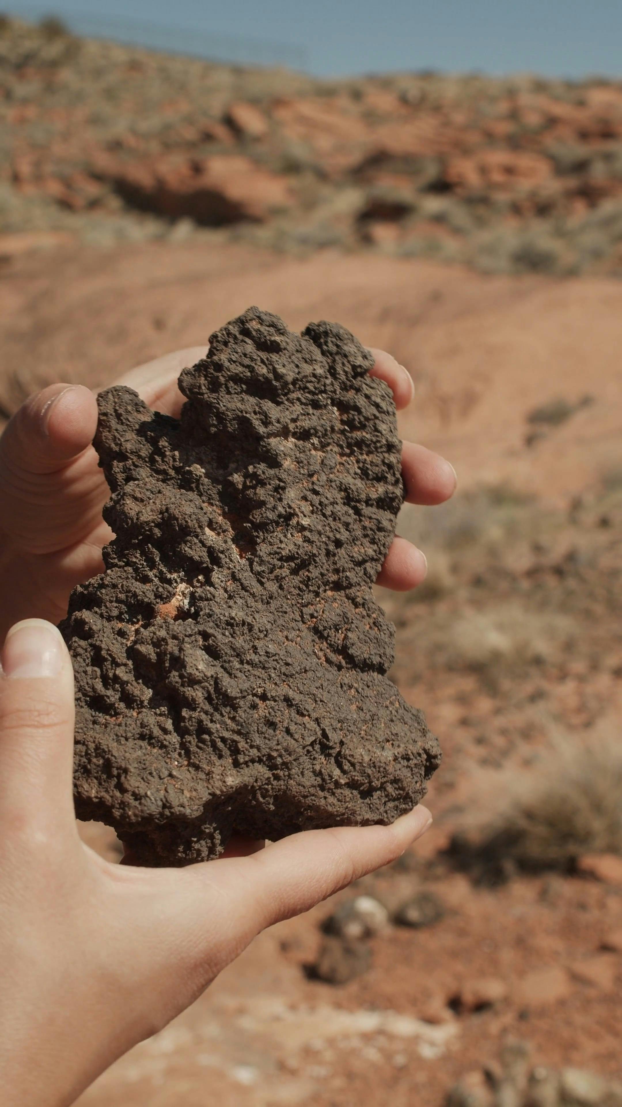 Person Holding a Rock · Free Stock Video