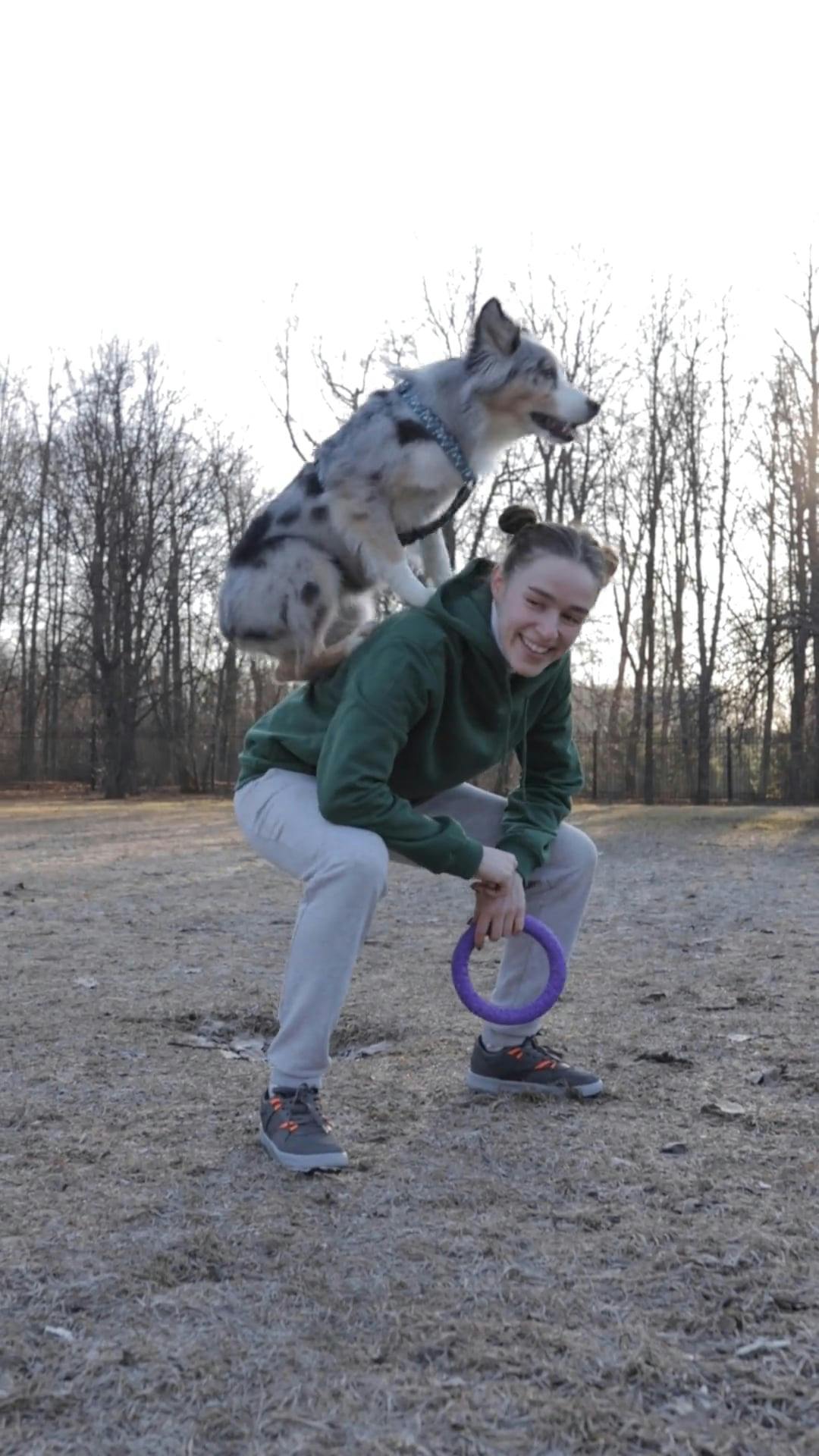 Dog Jumping on Woman's Back · Free Stock Video