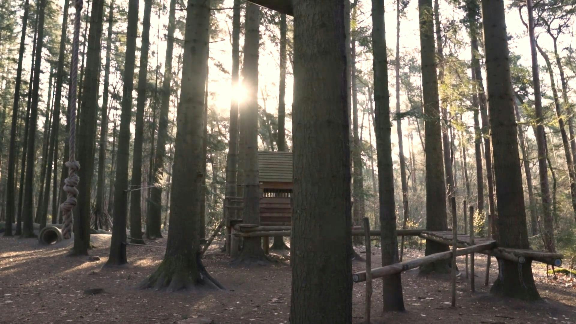 A Tree House in the Woods Free Stock Video Footage, Royalty-Free 4K ...