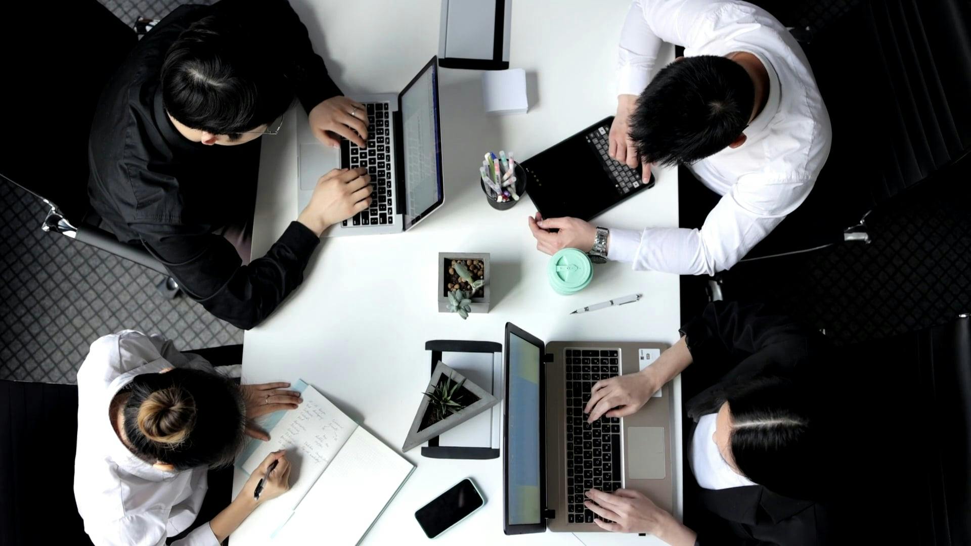 People Busy at Work · Free Stock Video