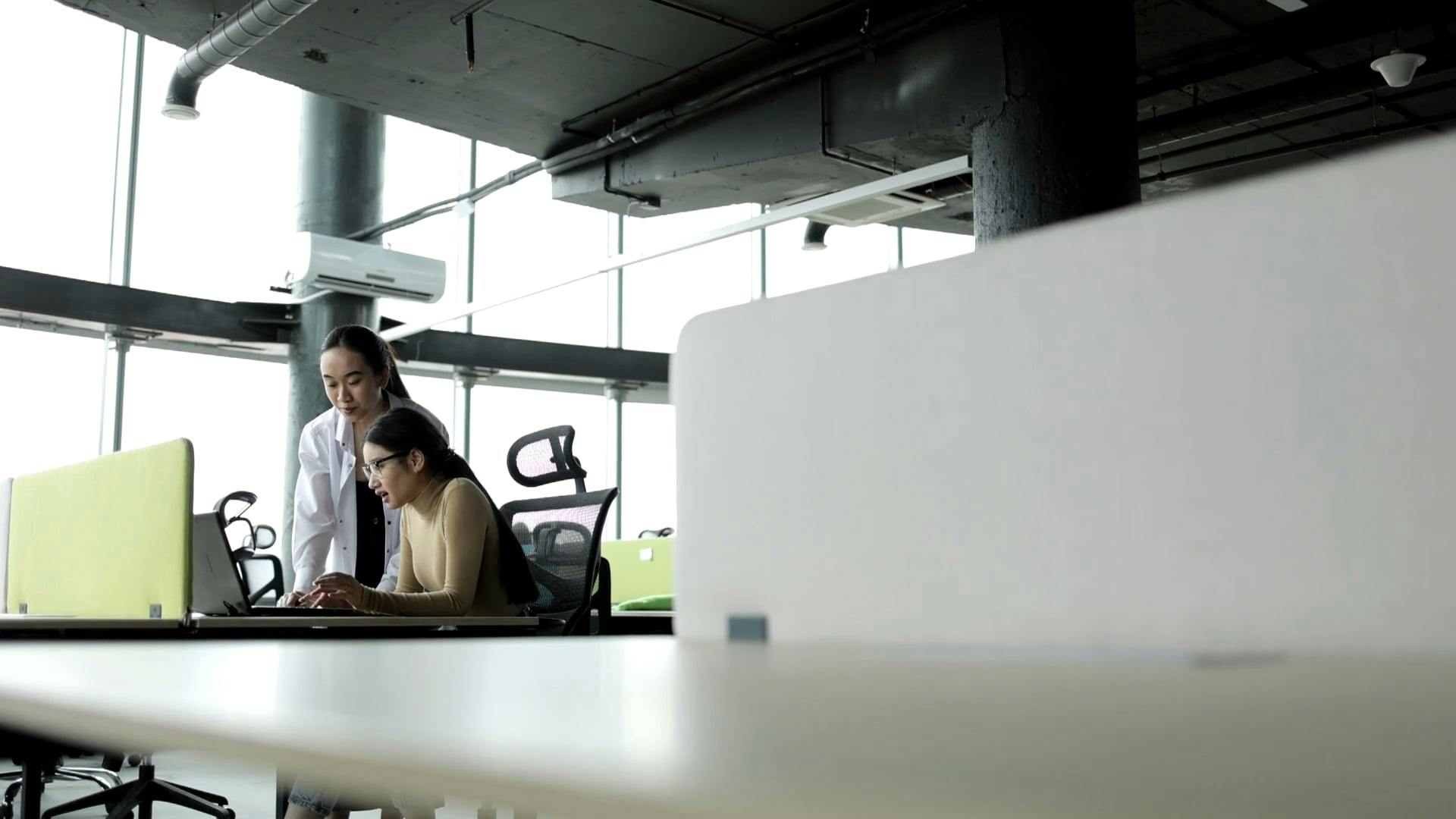 Coworkers in the Office Free Stock Video Footage, Royalty-Free 4K & HD ...