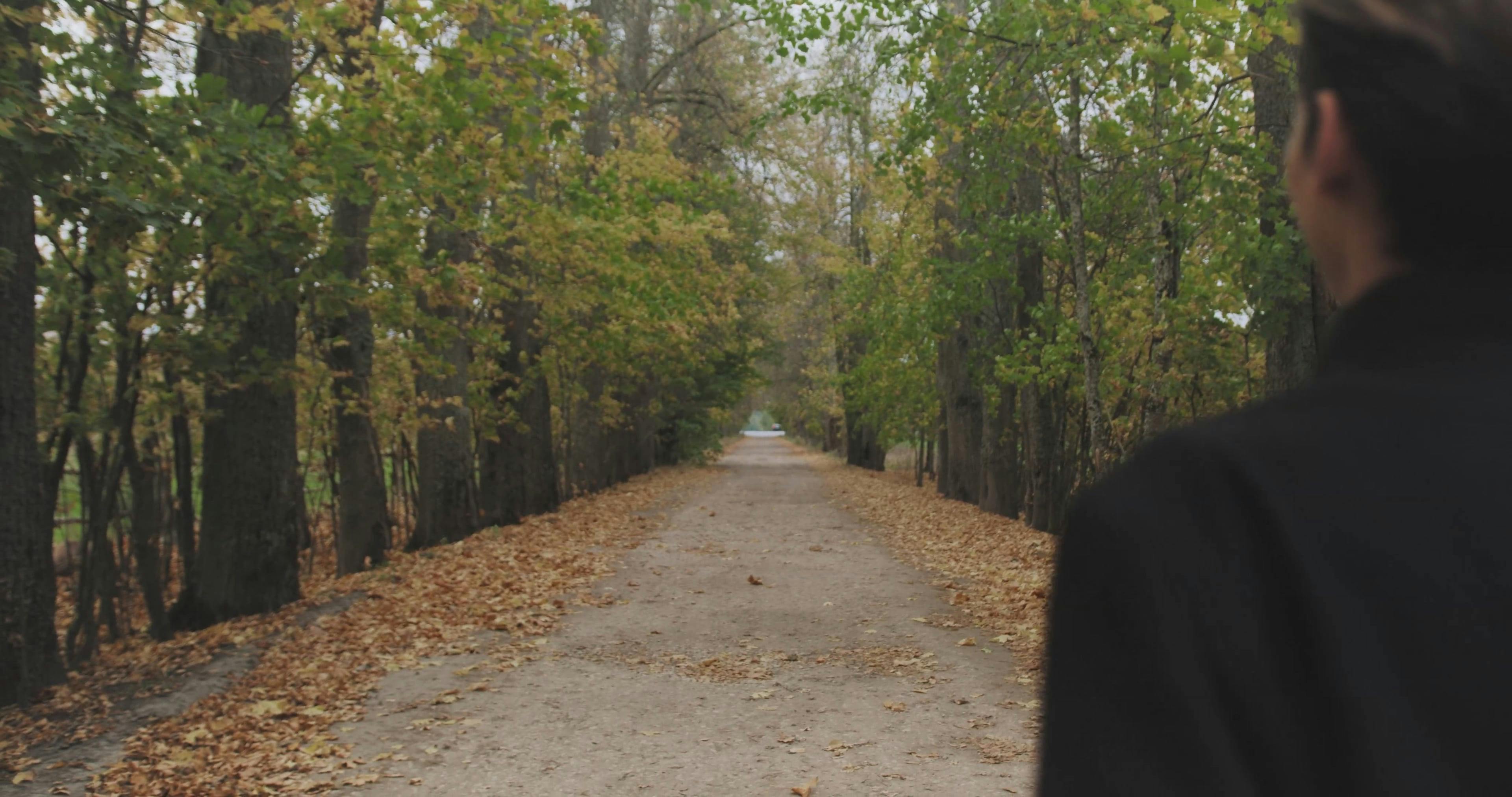 Tree Men Walking on a Pathway in the Middle of a Forest · Free Stock Video