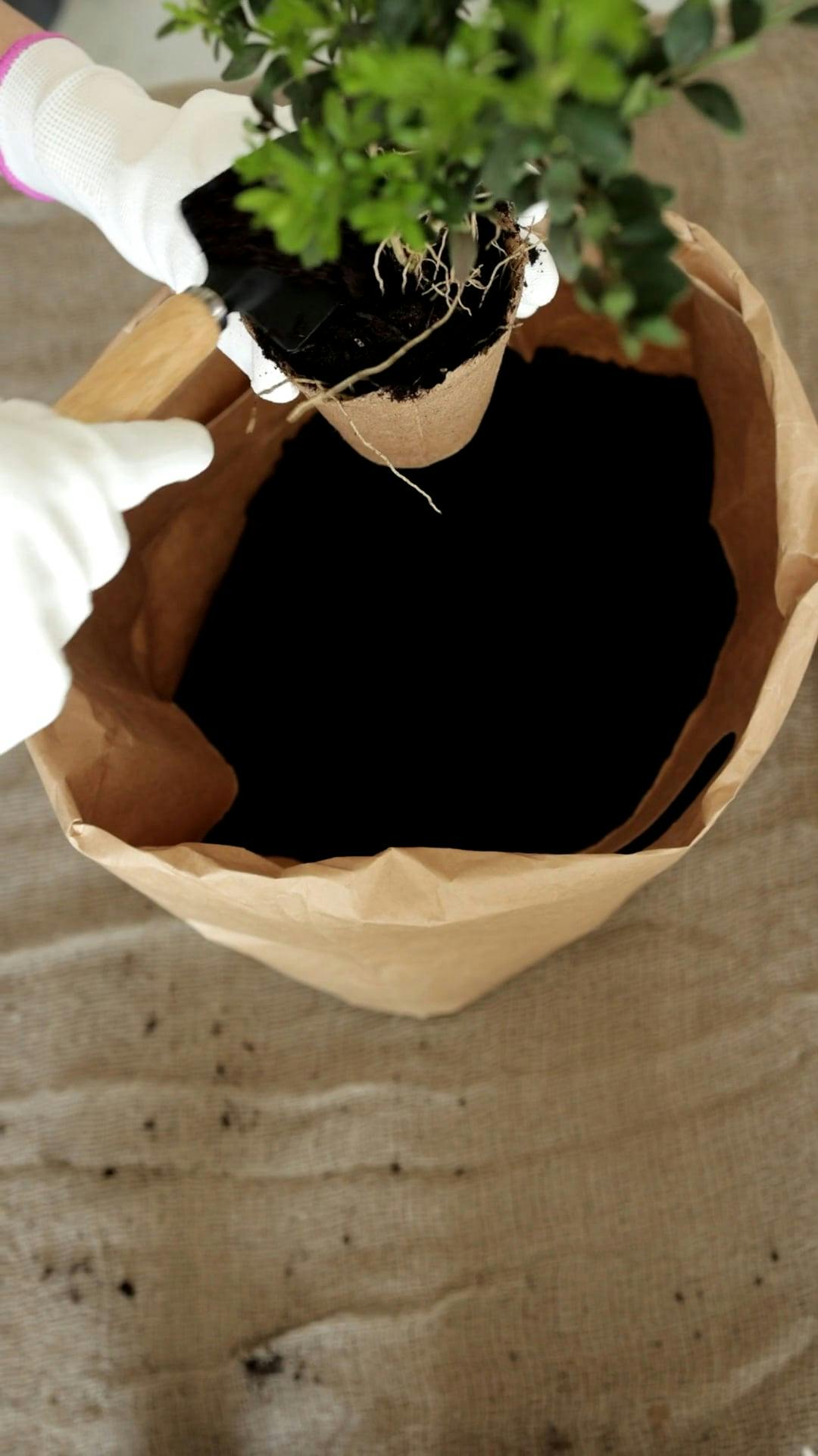 Soil And Root Videos, Download The BEST Free 4k Stock Video Footage ...