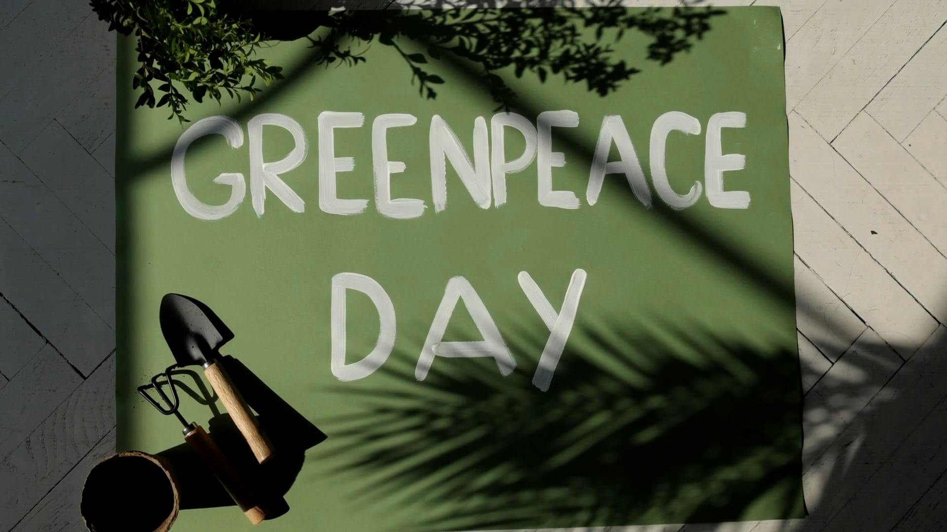 Tree Planting Poster Videos, Download The BEST Free 4k Stock Video ...