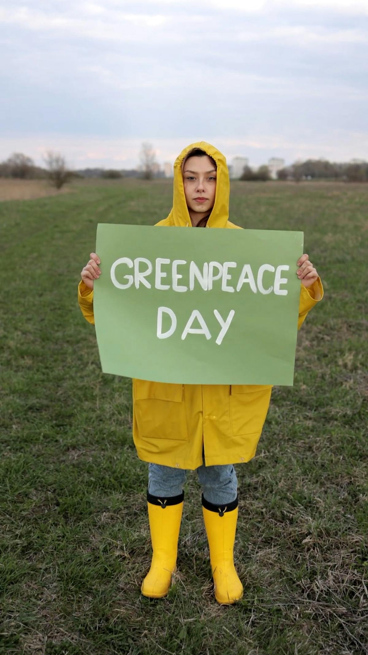 Greenpeace Day 108个图片和视频，由Lisa from Pexels收藏