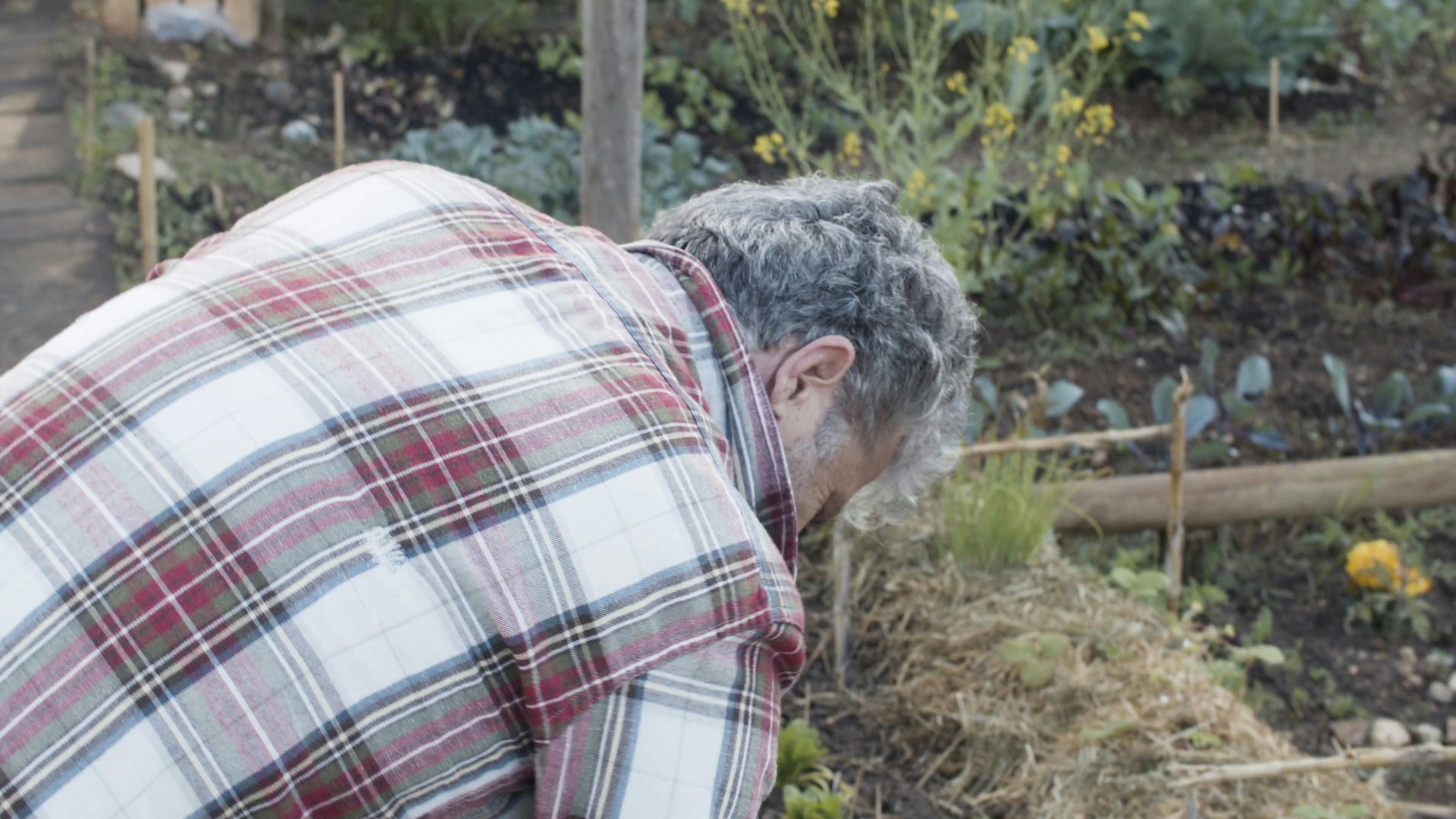 Person Digging A Hole · Free Stock Video