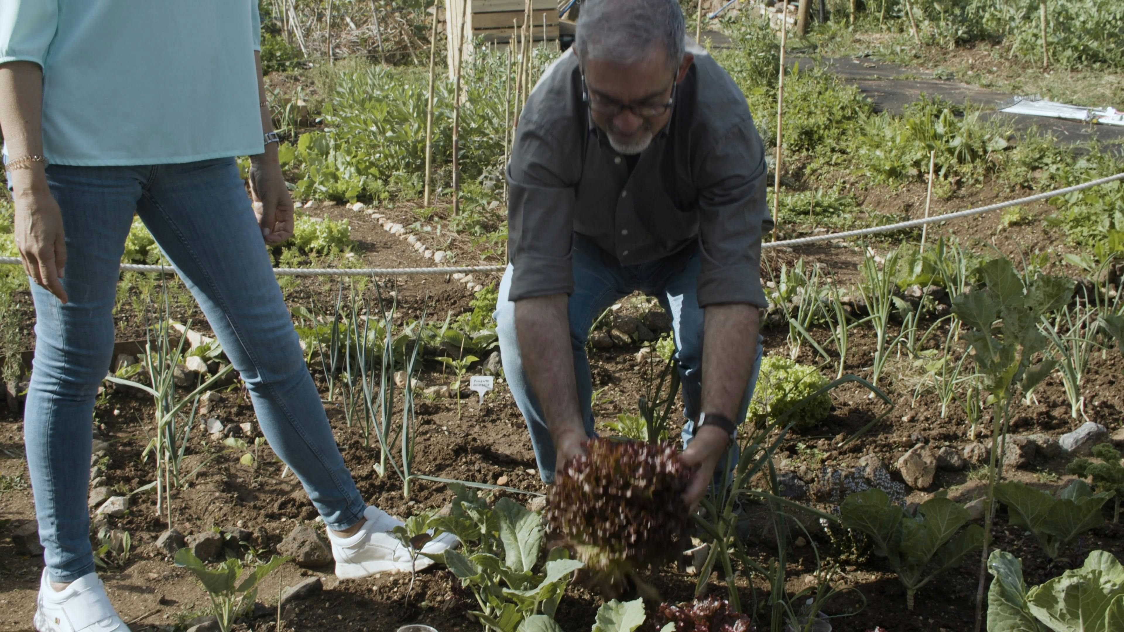 Human Eating Earth Videos, Download The BEST Free 4k Stock Video ...