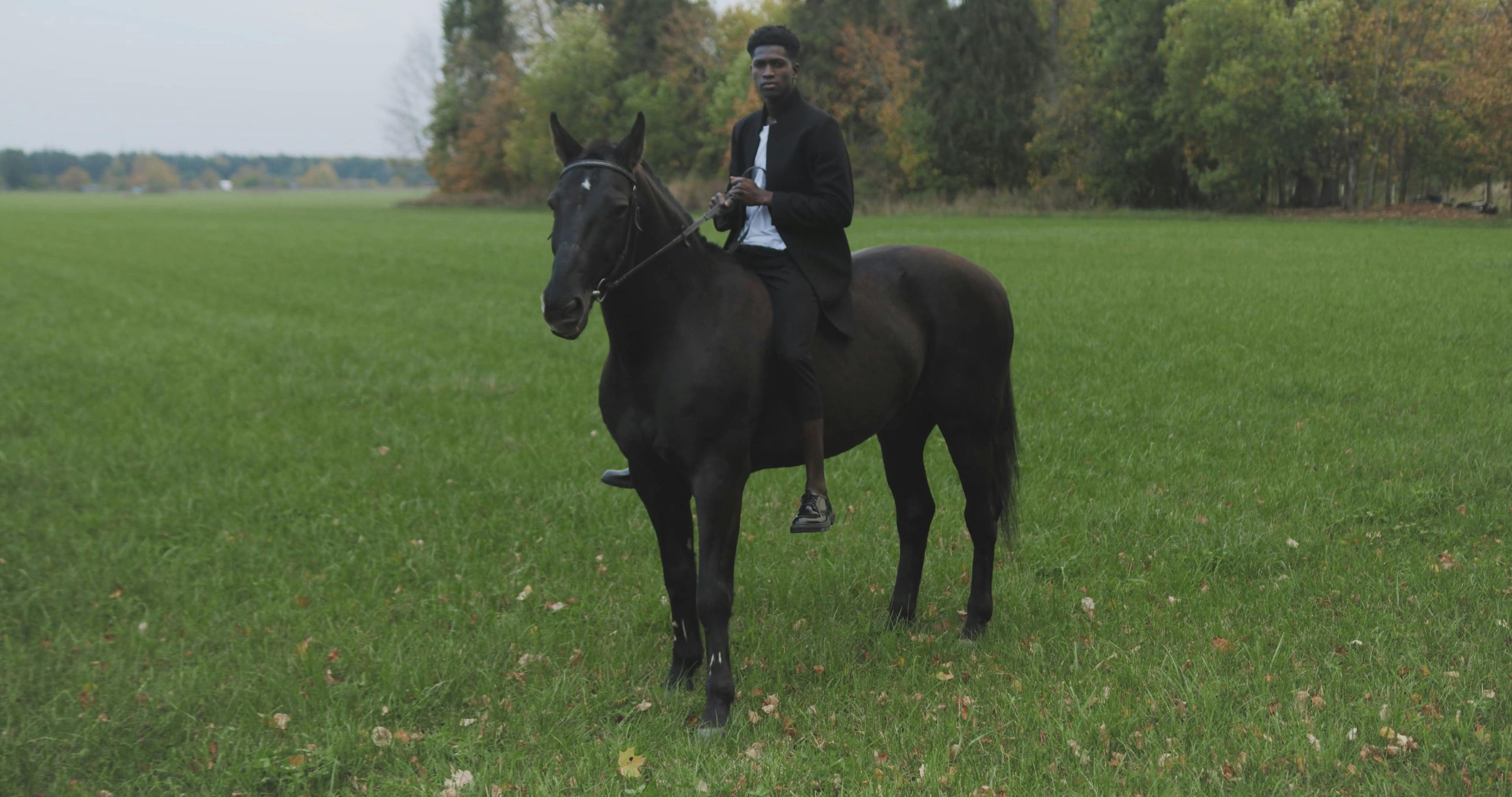 Black Horse Riding Videos, Download The BEST Free 4k Stock Video ...