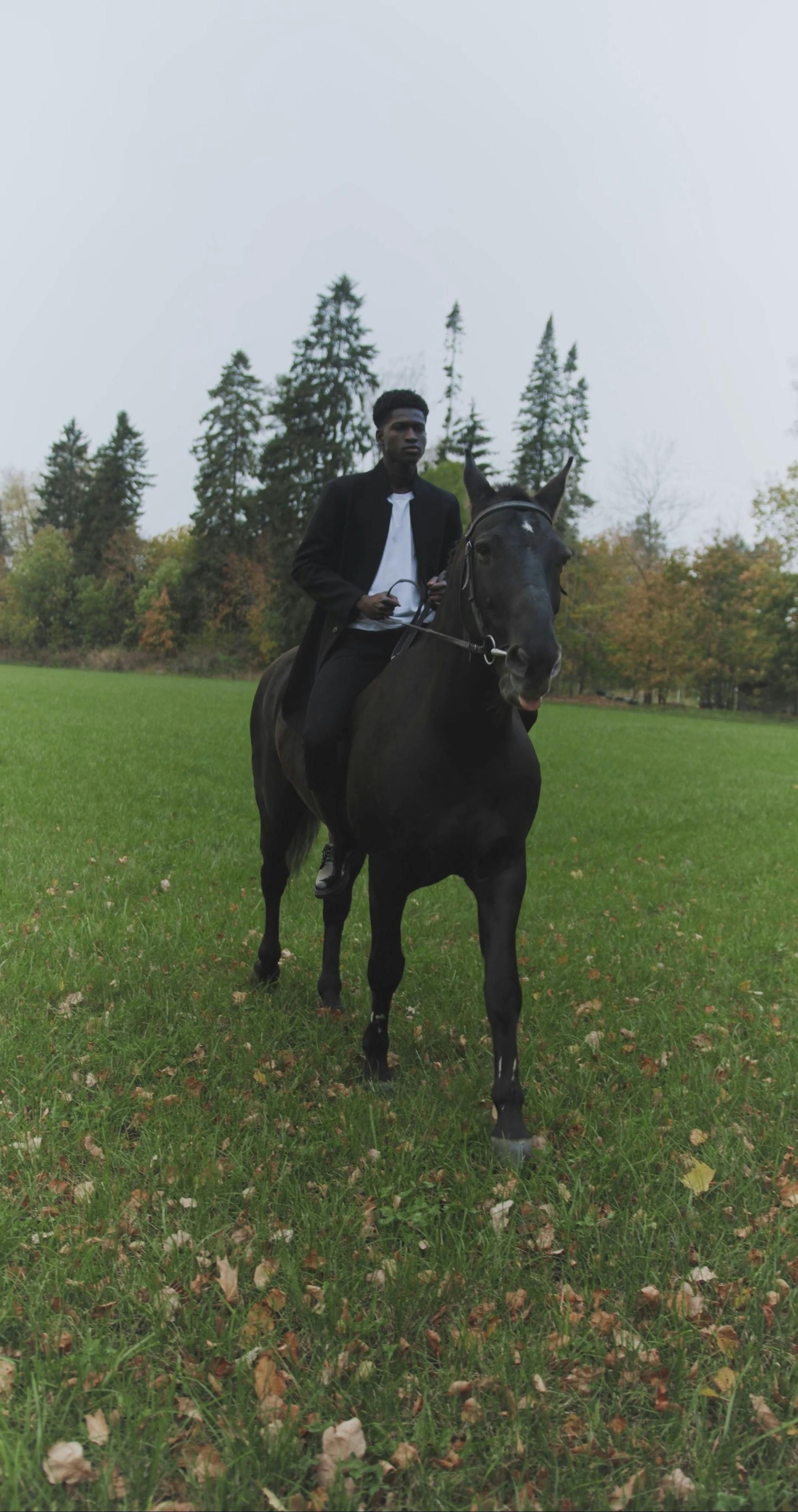 Horse Fall Videos, Download The BEST Free 4k Stock Video Footage ...