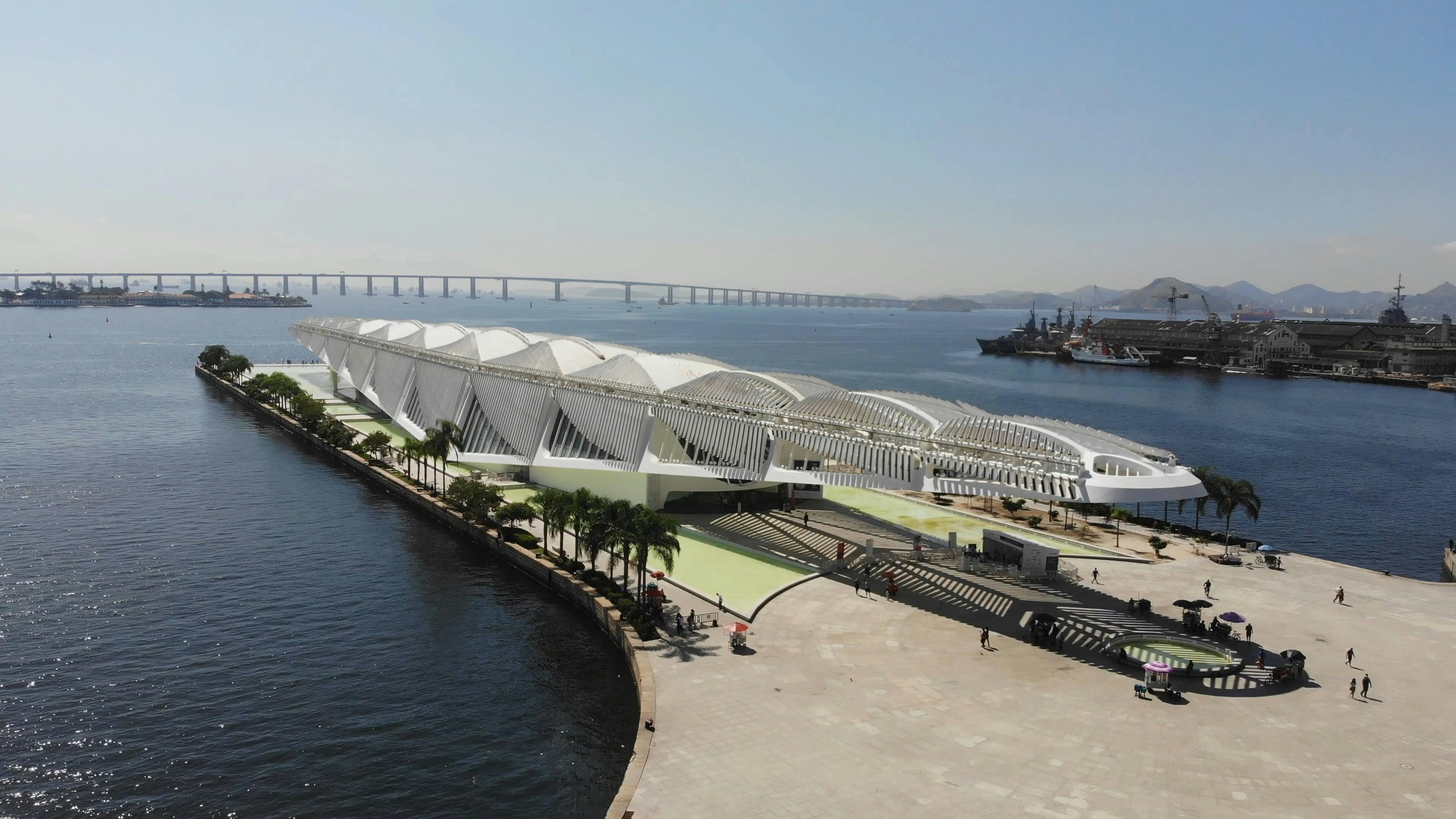 Aerial View of Sea Beach · Free Stock Video