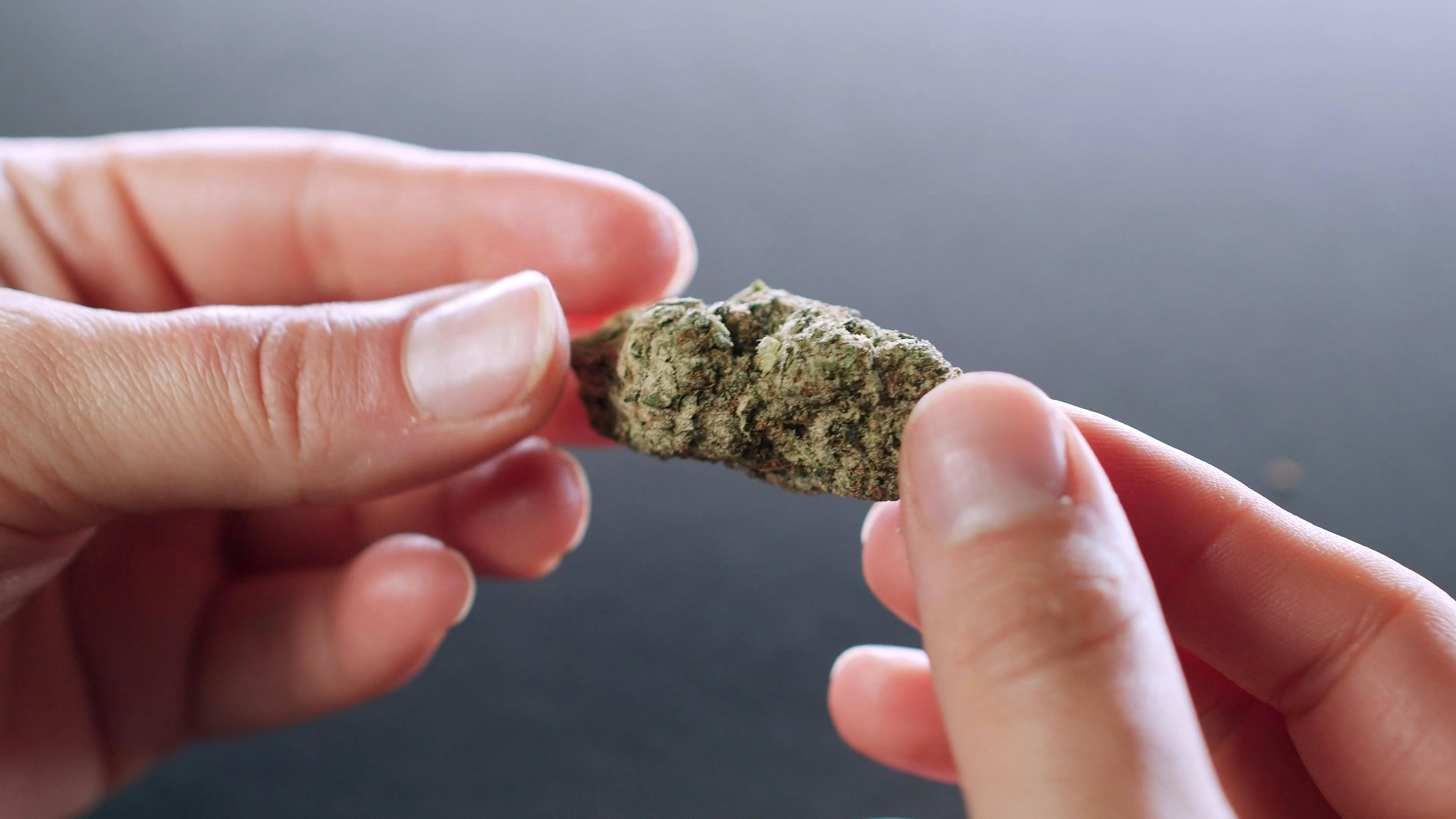 4k Weed Videos, Download The BEST Free 4k Stock Video Footage & 4k Weed ...