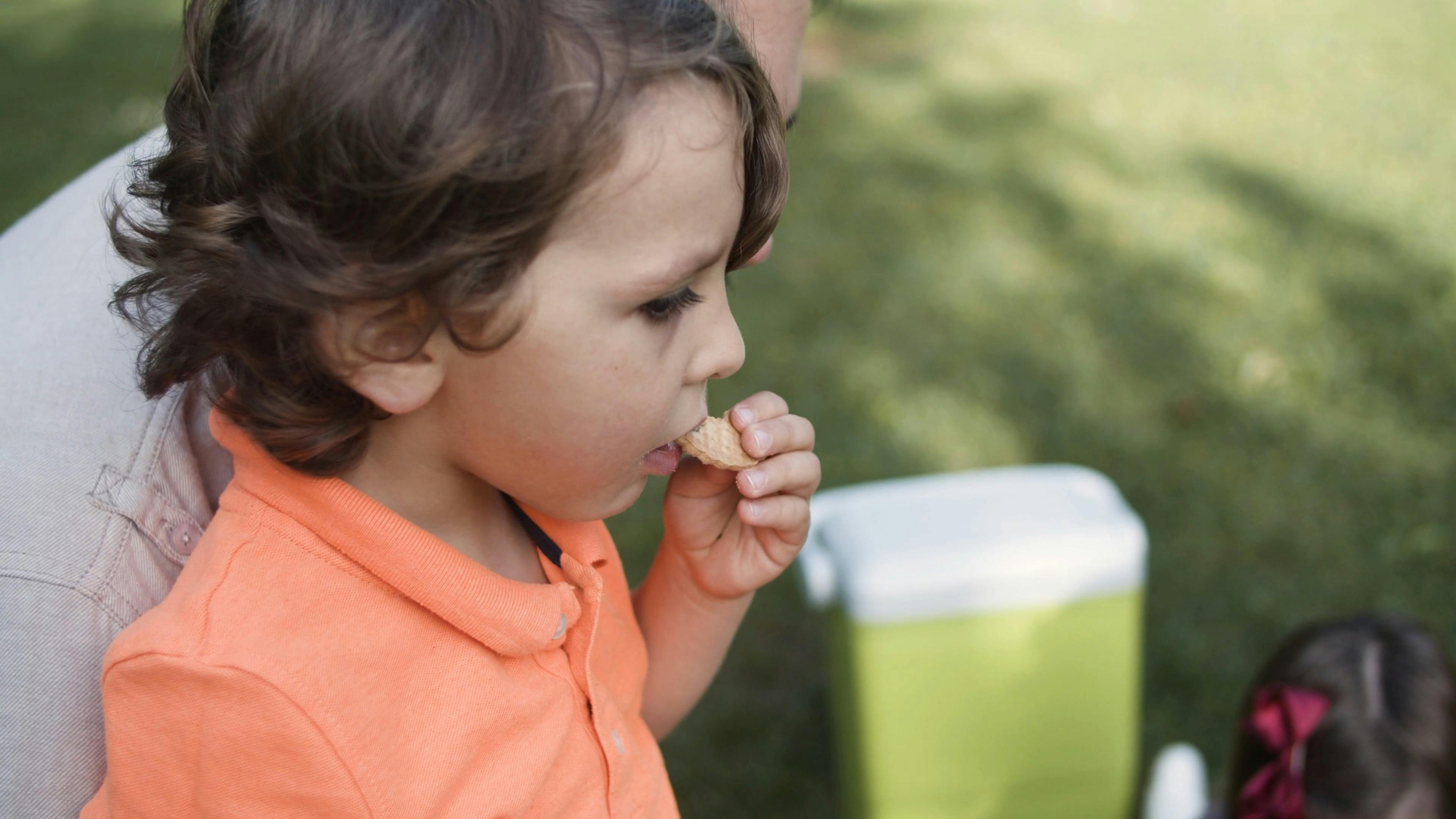 People Eating Chips at the Park Free Stock Video Footage, Royalty-Free ...