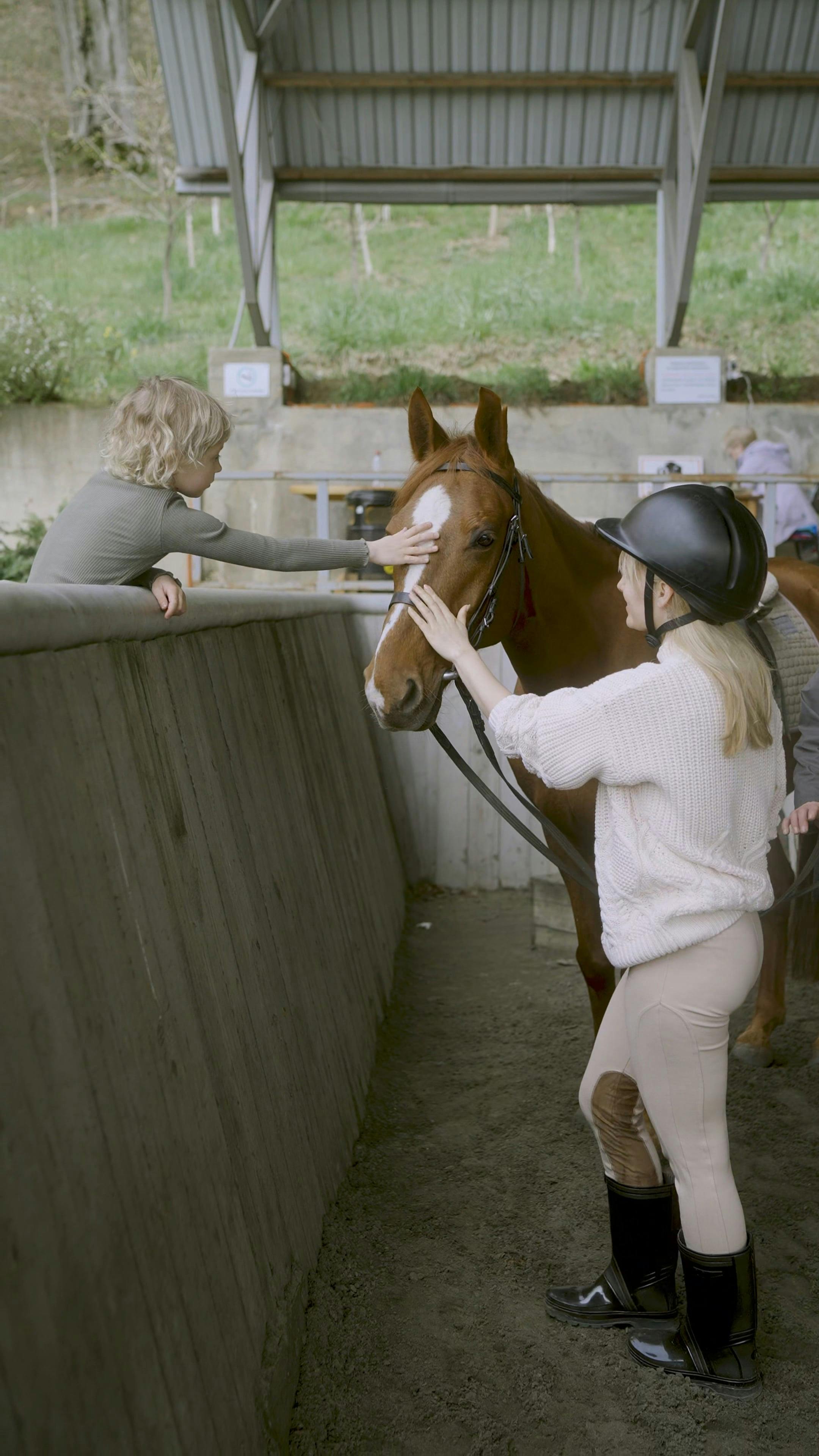 Equistrian Videos, Download The BEST Free 4k Stock Video Footage ...