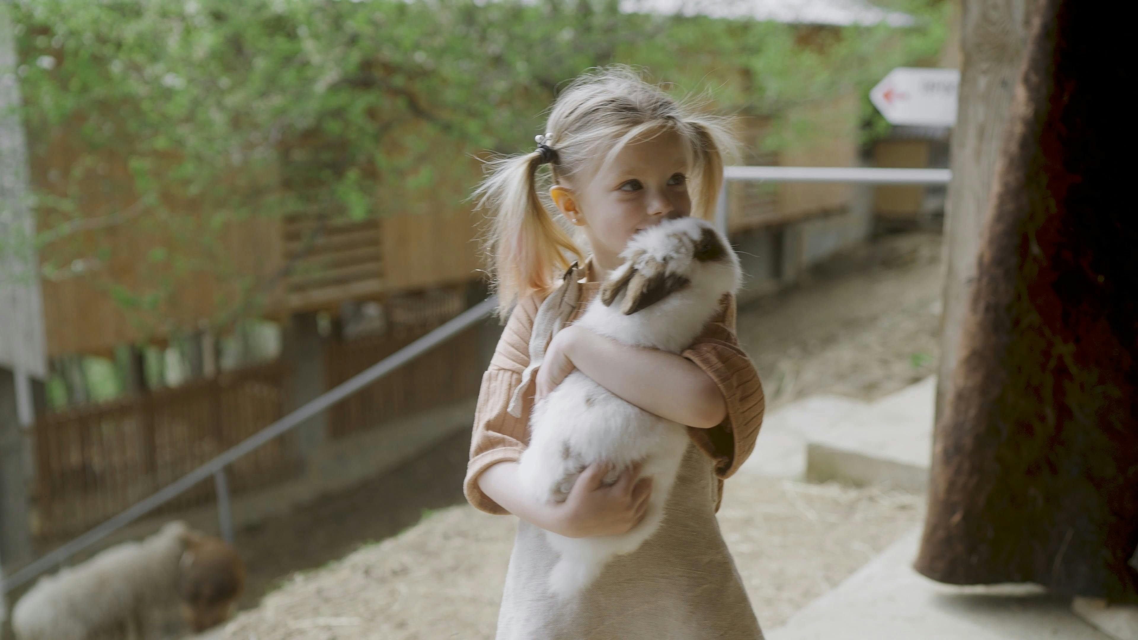 Girl Carrying a Rabbit Free Stock Video Footage, Royalty-Free 4K & HD ...