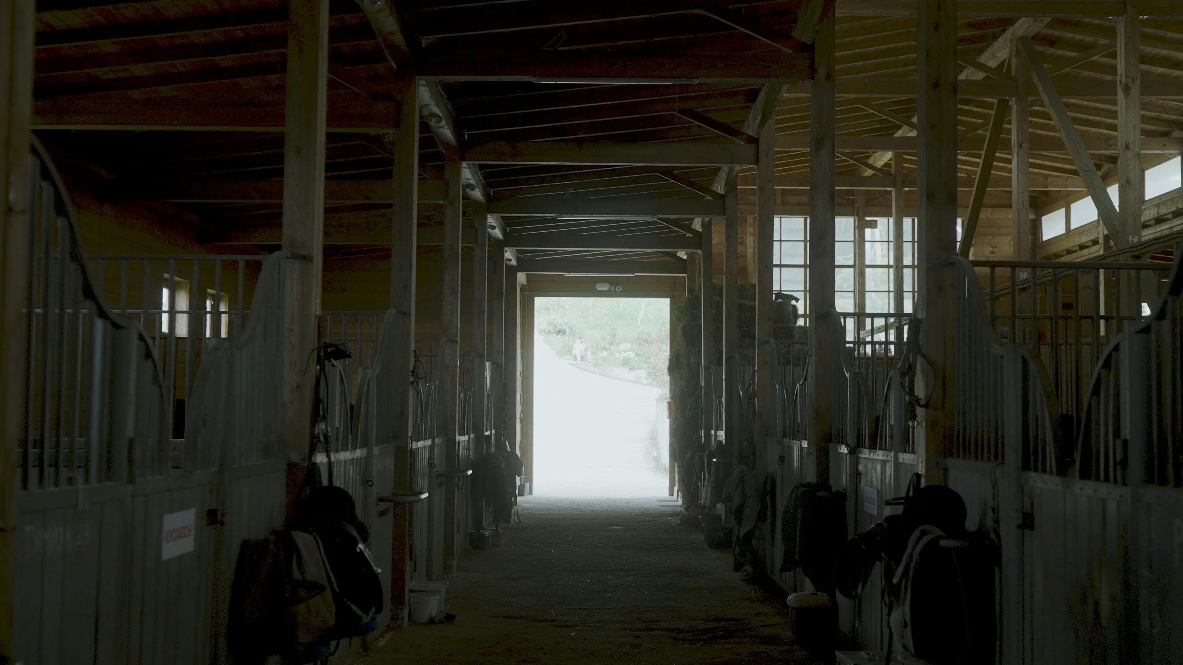 A Video Footage Inside the Stable Free Stock Video Footage, Royalty ...