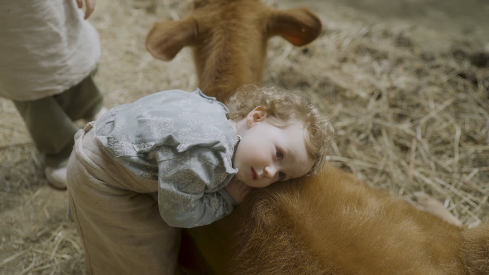 Animals Boy Videos, Download The BEST Free 4k Stock Video Footage ...