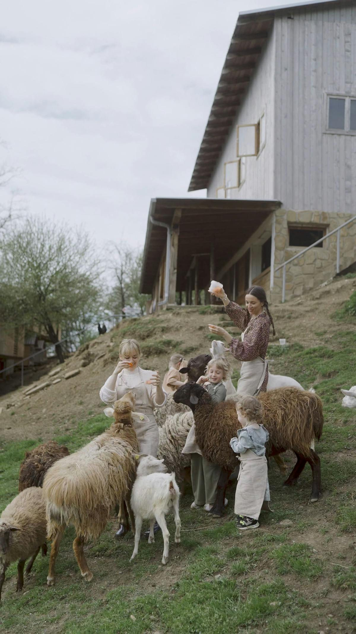 Animals And Humans Videos, Download The BEST Free 4k Stock Video ...