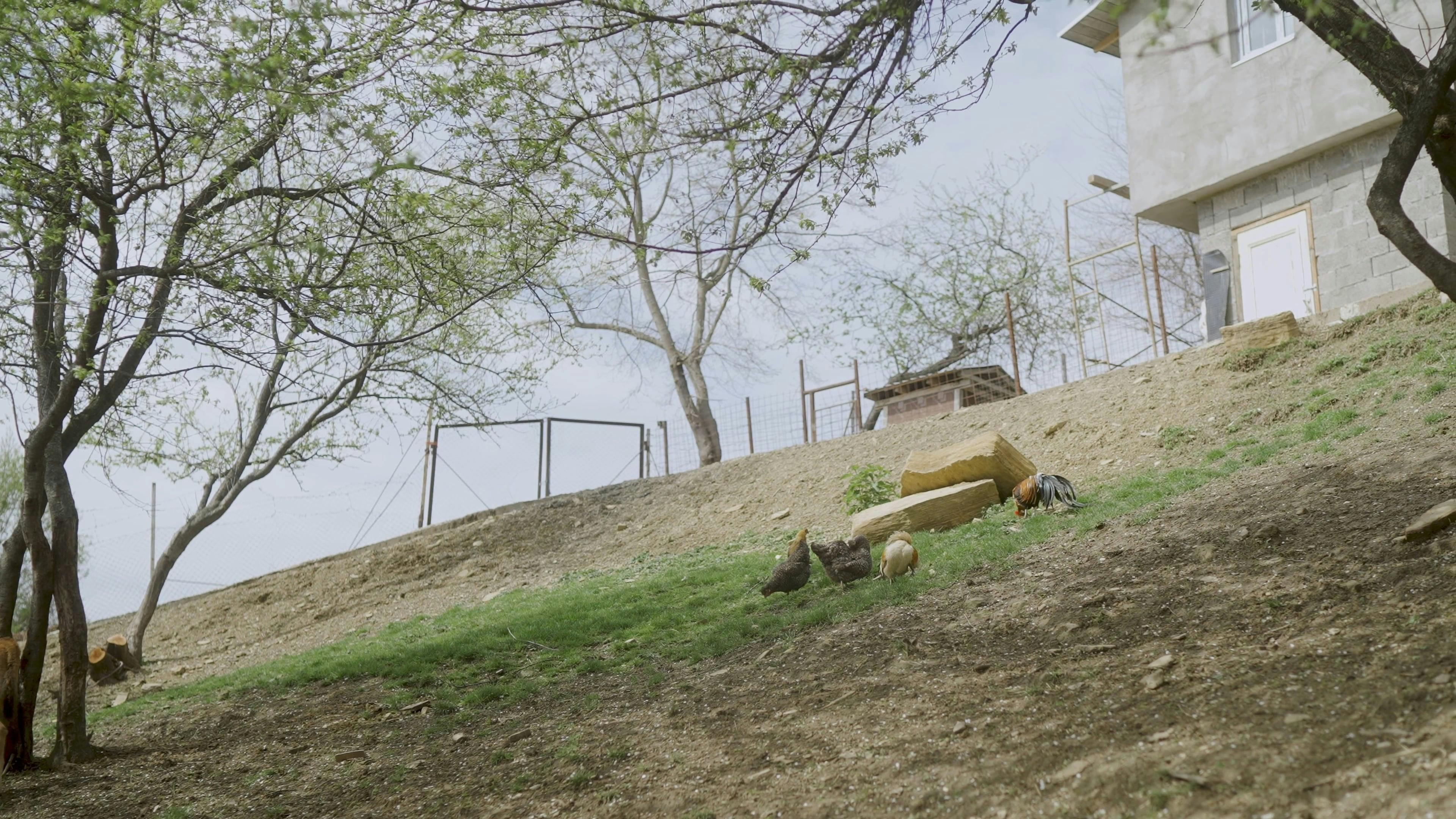 Anime Grounds Videos, Download The BEST Free 4k Stock Video Footage ...