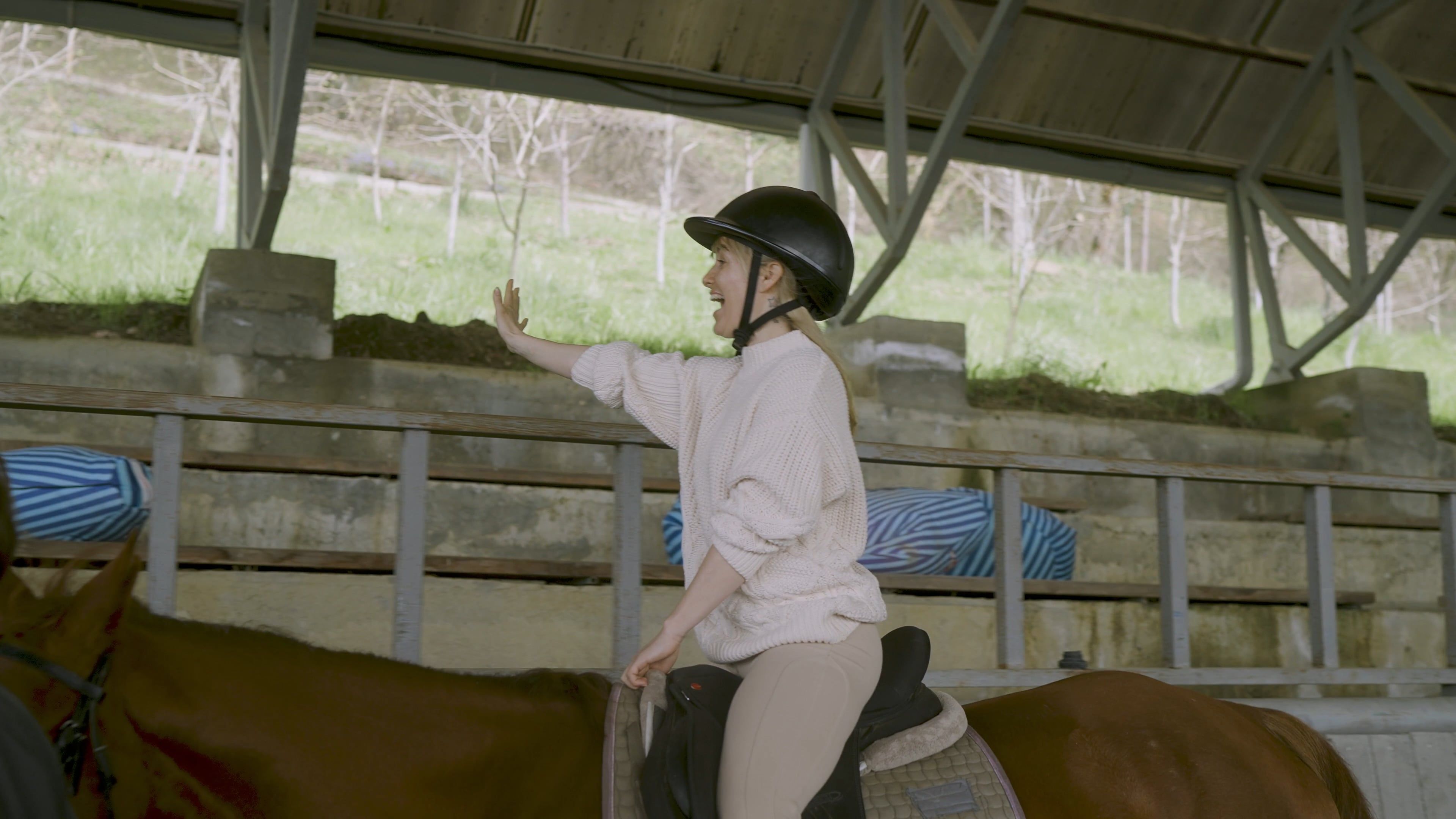 Motivation Horse Videos, Download The BEST Free 4k Stock Video Footage ...