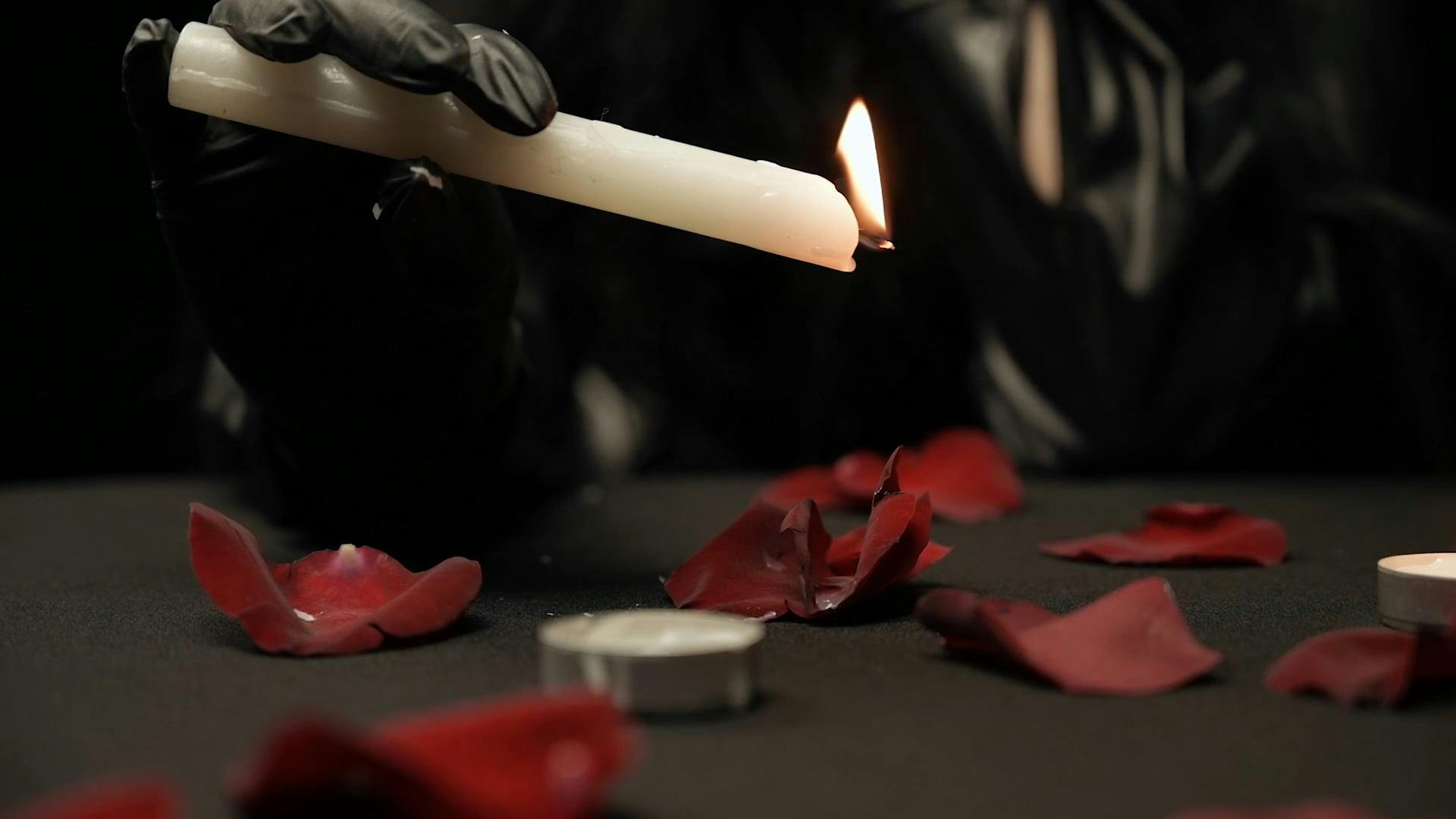 Dropping Candle Wax on a Petal Free Stock Video Footage, Royalty-Free ...