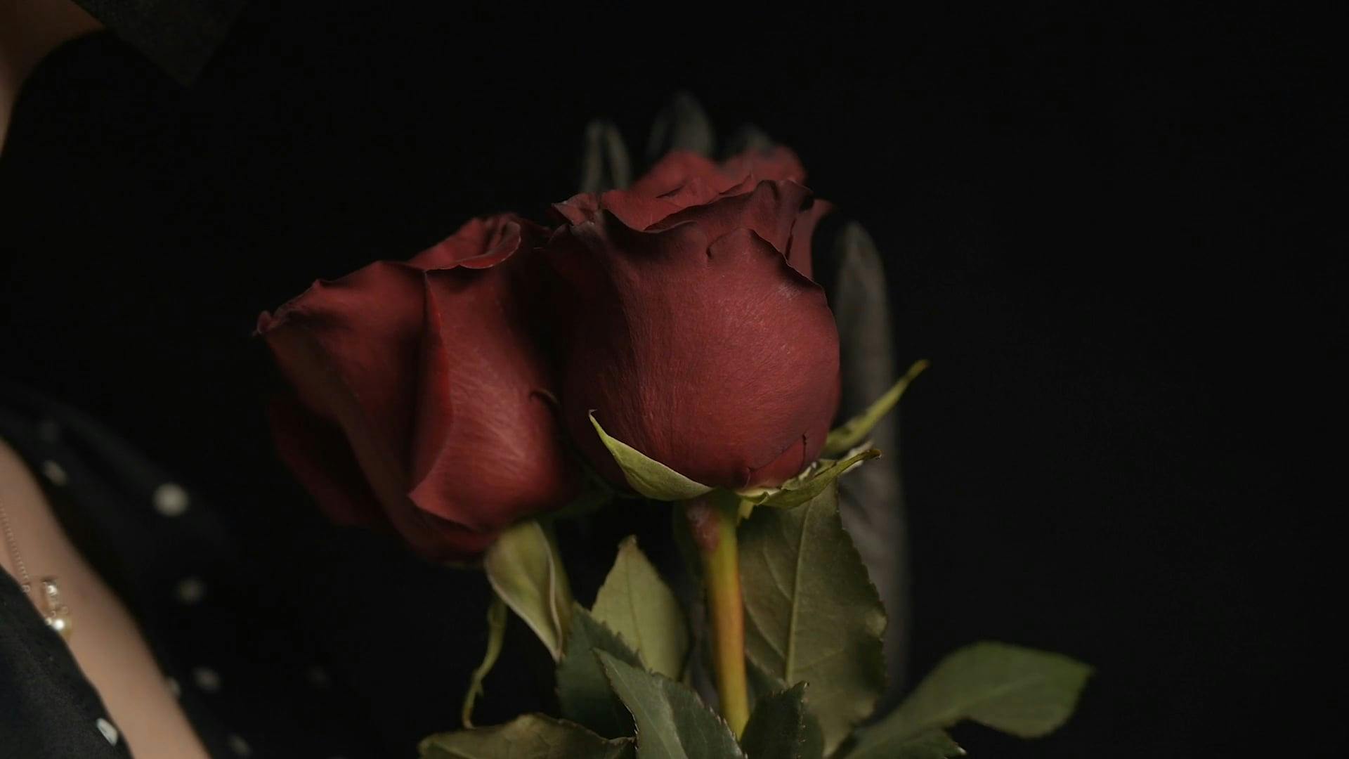 Sad Romance Videos, Download The BEST Free 4k Stock Video Footage & Sad ...