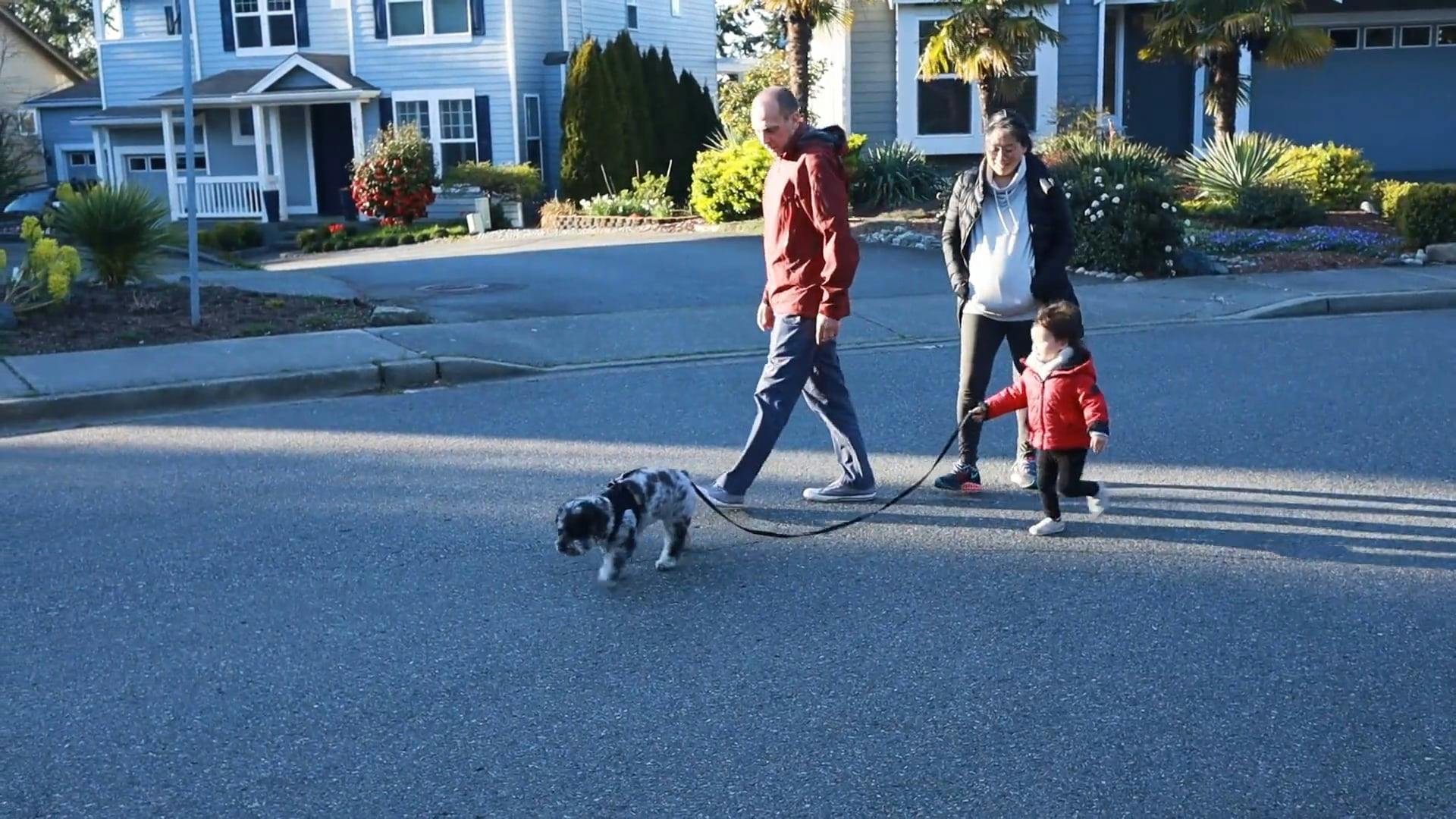 A Family Having a Walk Free Stock Video Footage, Royalty-Free 4K & HD ...