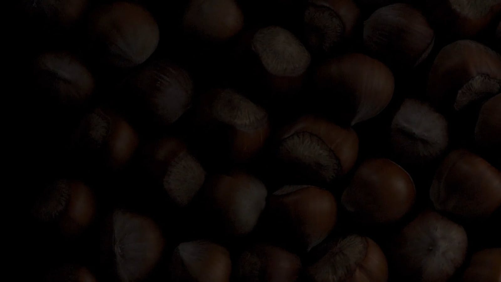 Nutshell Background Videos, Download The BEST Free 4k Stock Video ...