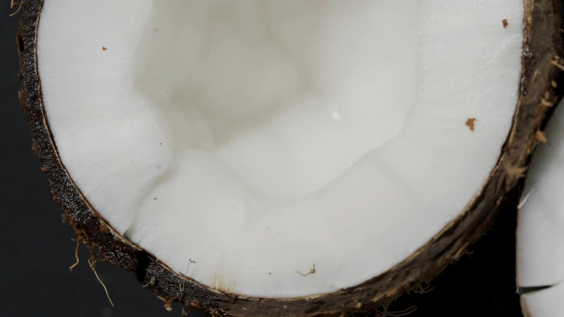 Husk ใบไม้ Videos, Download The BEST Free 4k Stock Video Footage & Husk ...