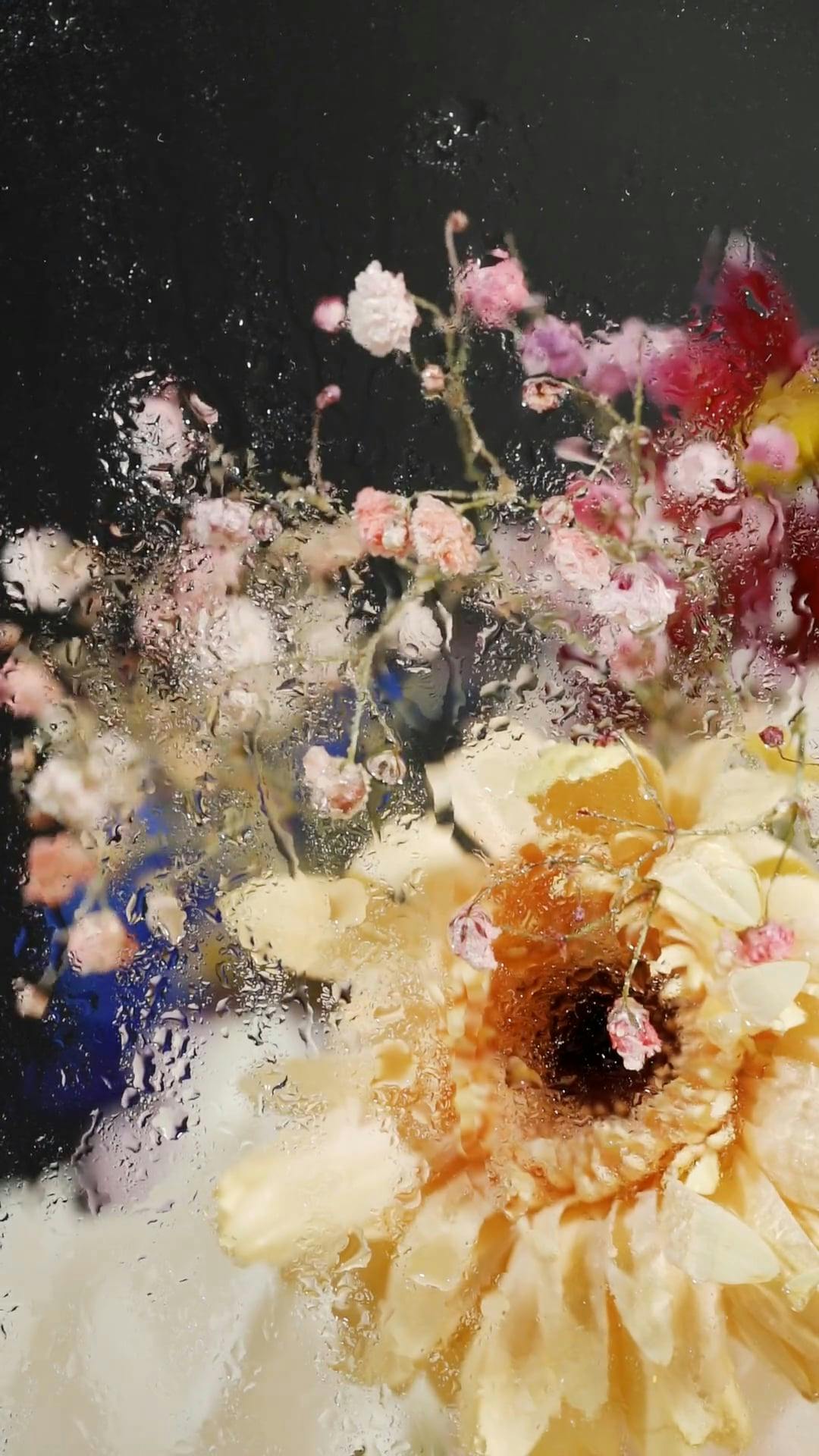 Pretty Abstract Background Videos, Download The BEST Free 4k Stock ...