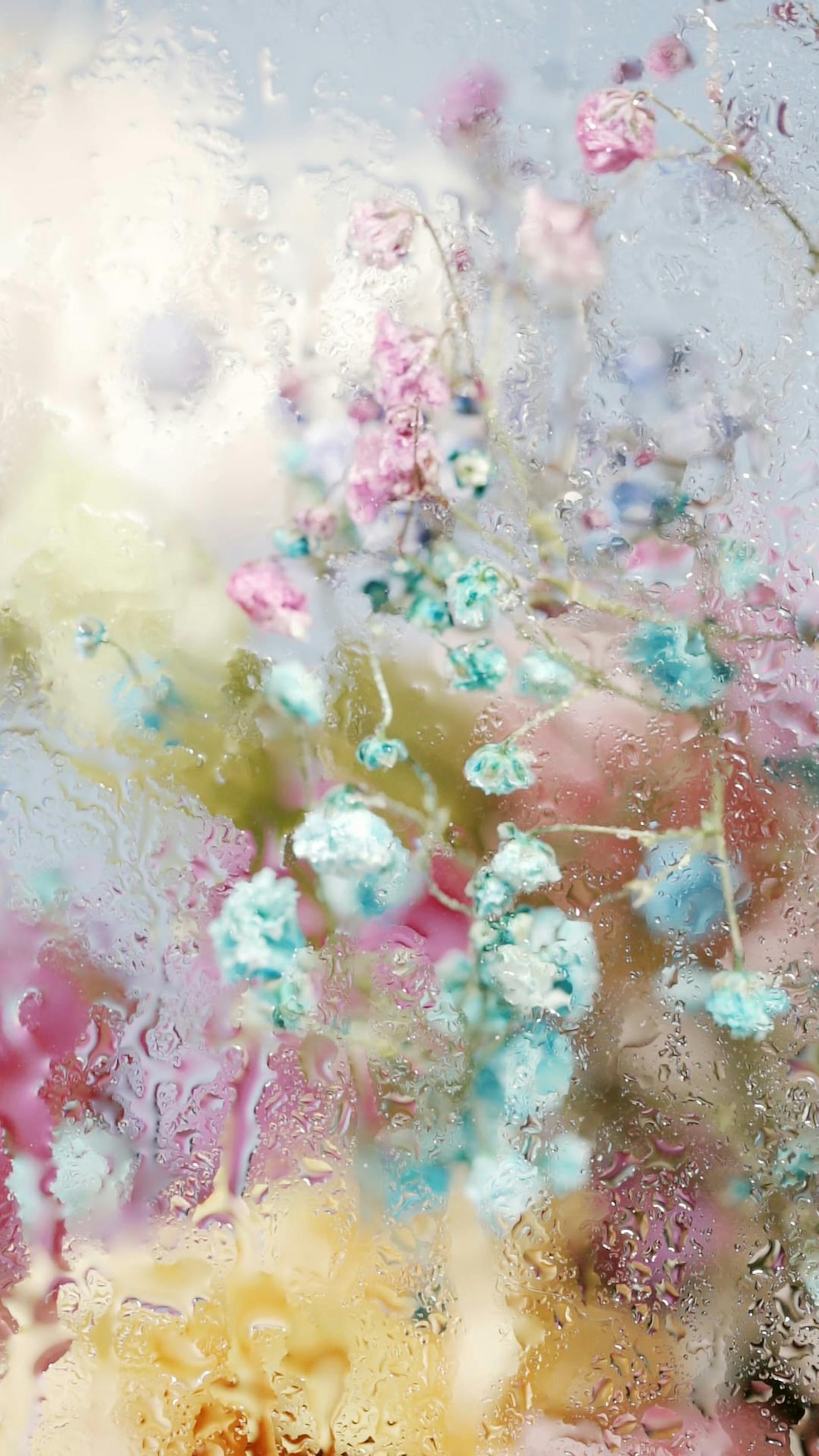 Merun Color Background Videos, Download The BEST Free 4k Stock Video ...