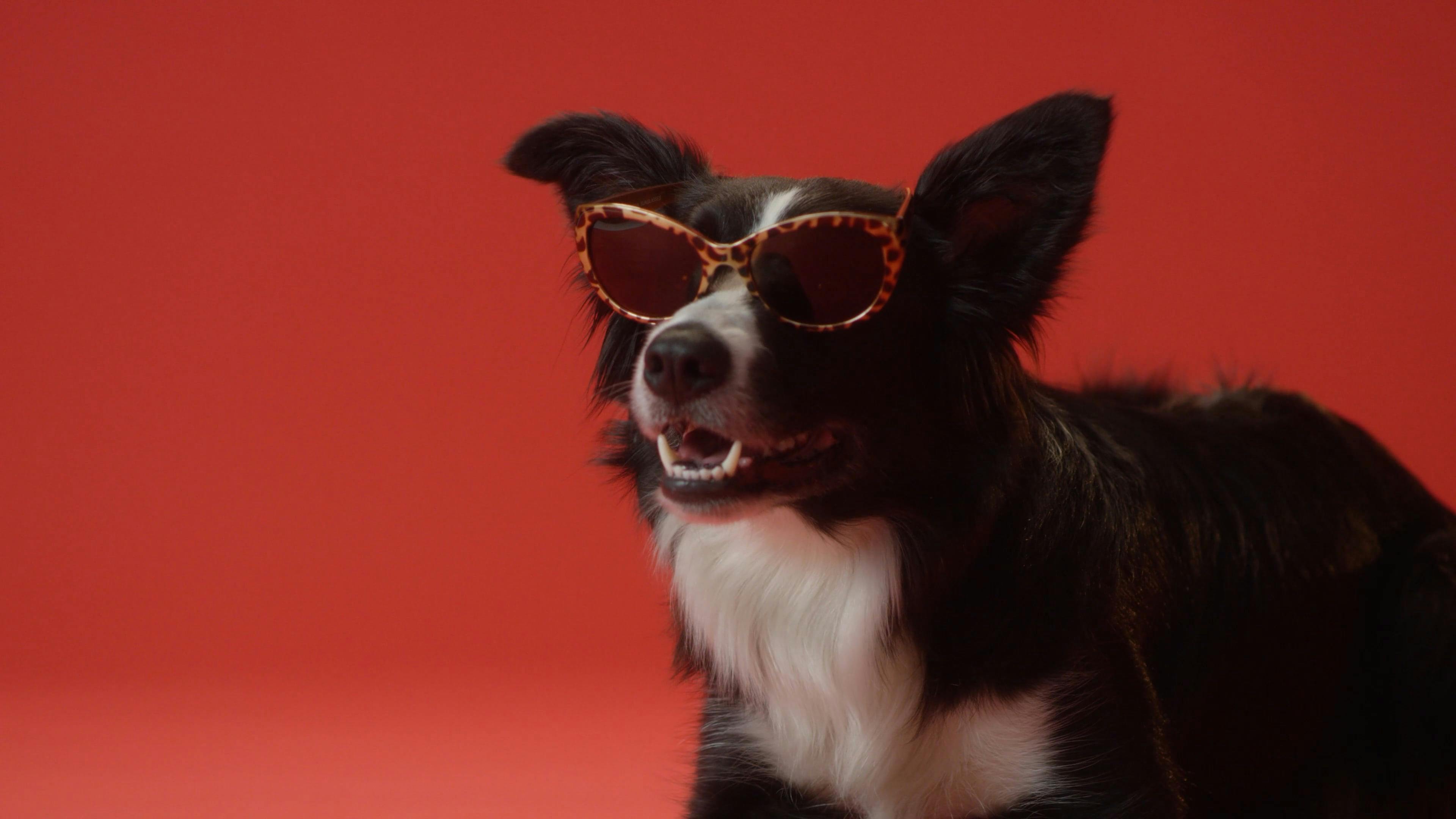 Cool Border Videos, Download The BEST Free 4k Stock Video Footage ...