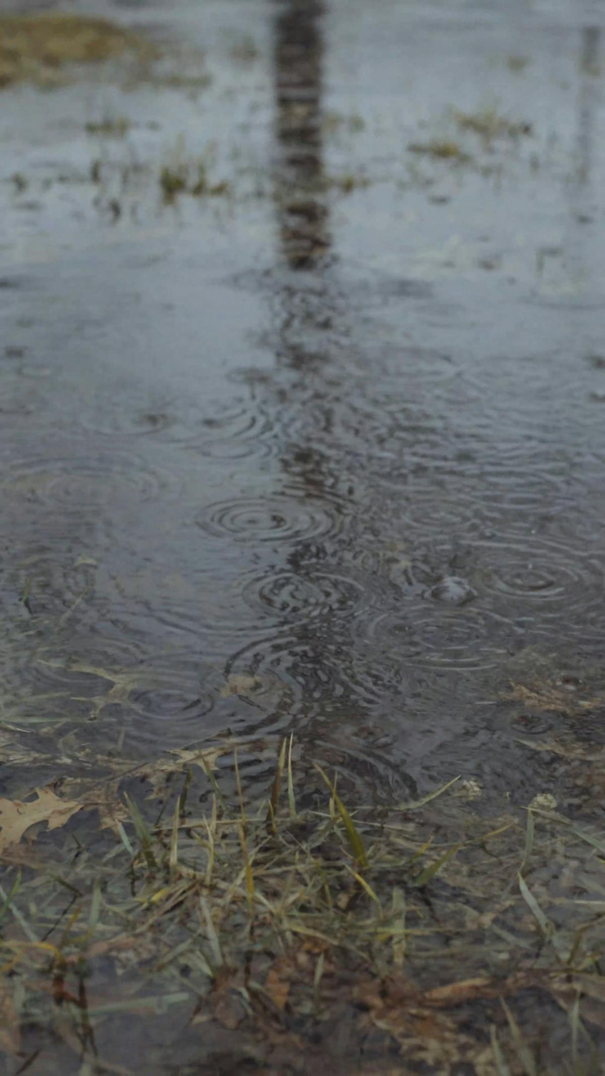 Mud Puddle Videos, Download The BEST Free 4k Stock Video Footage & Mud ...