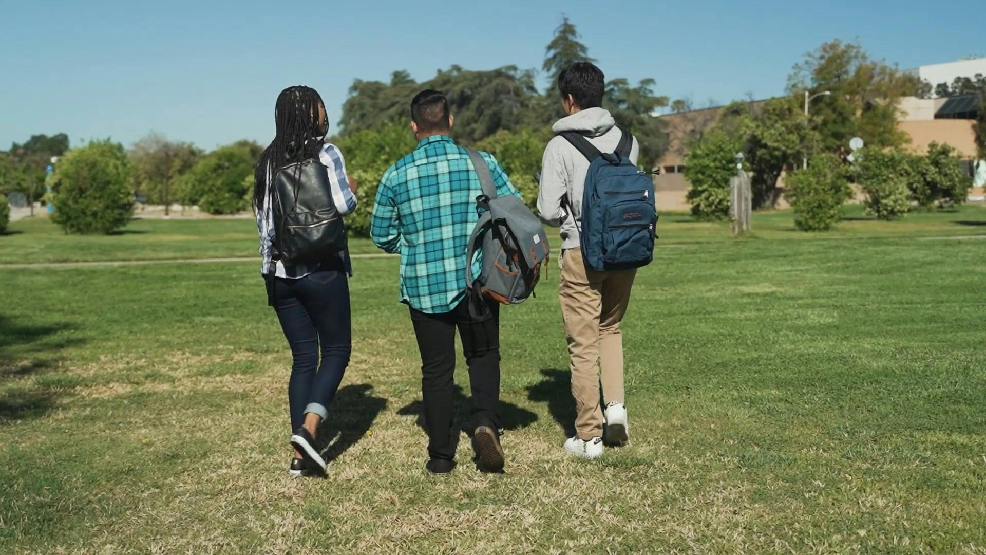 Group of College Students Walking at the Campus Free Stock Video ...