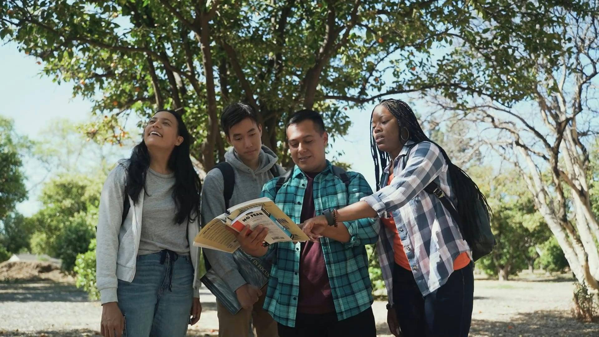 People Reading Book Together Free Stock Video Footage, Royalty-Free 4K ...