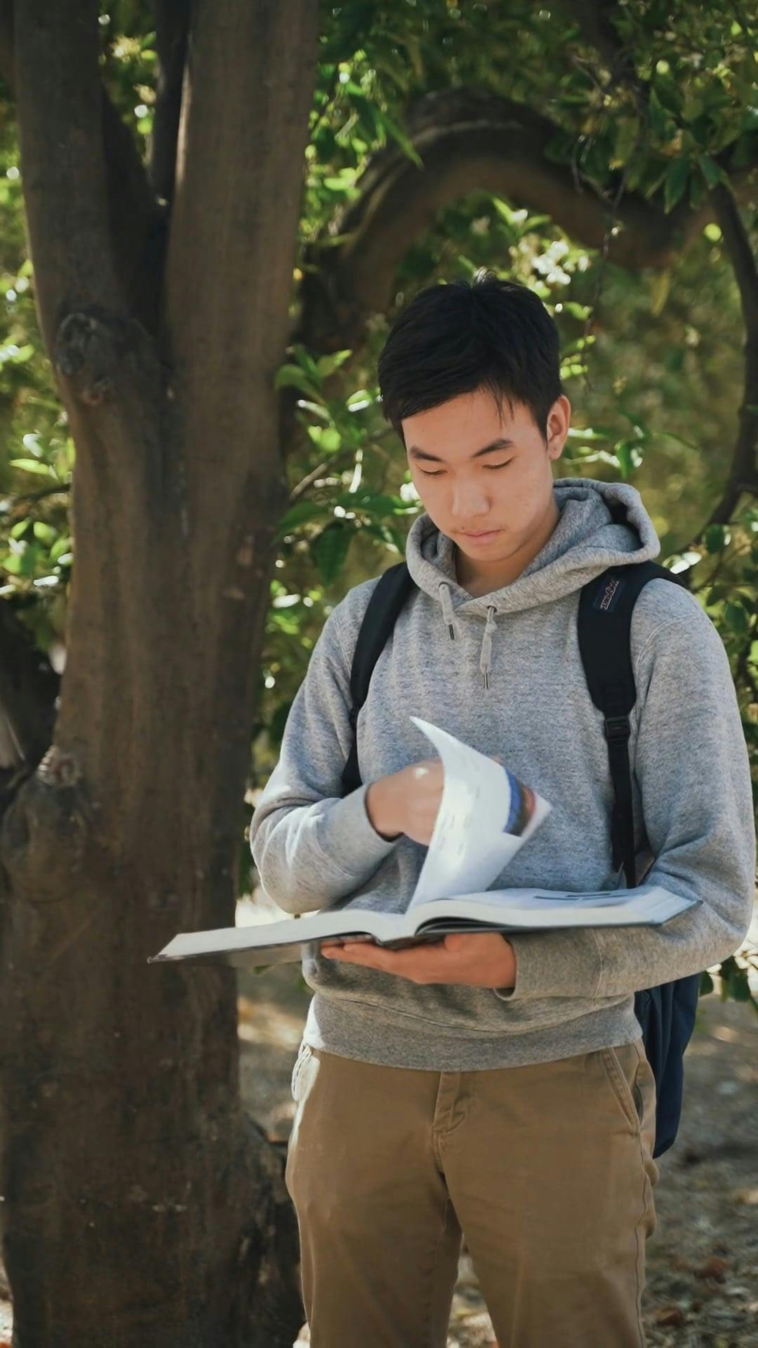 Scholar Tree Videos, Download The BEST Free 4k Stock Video Footage & Scholar Tree HD Video Clips