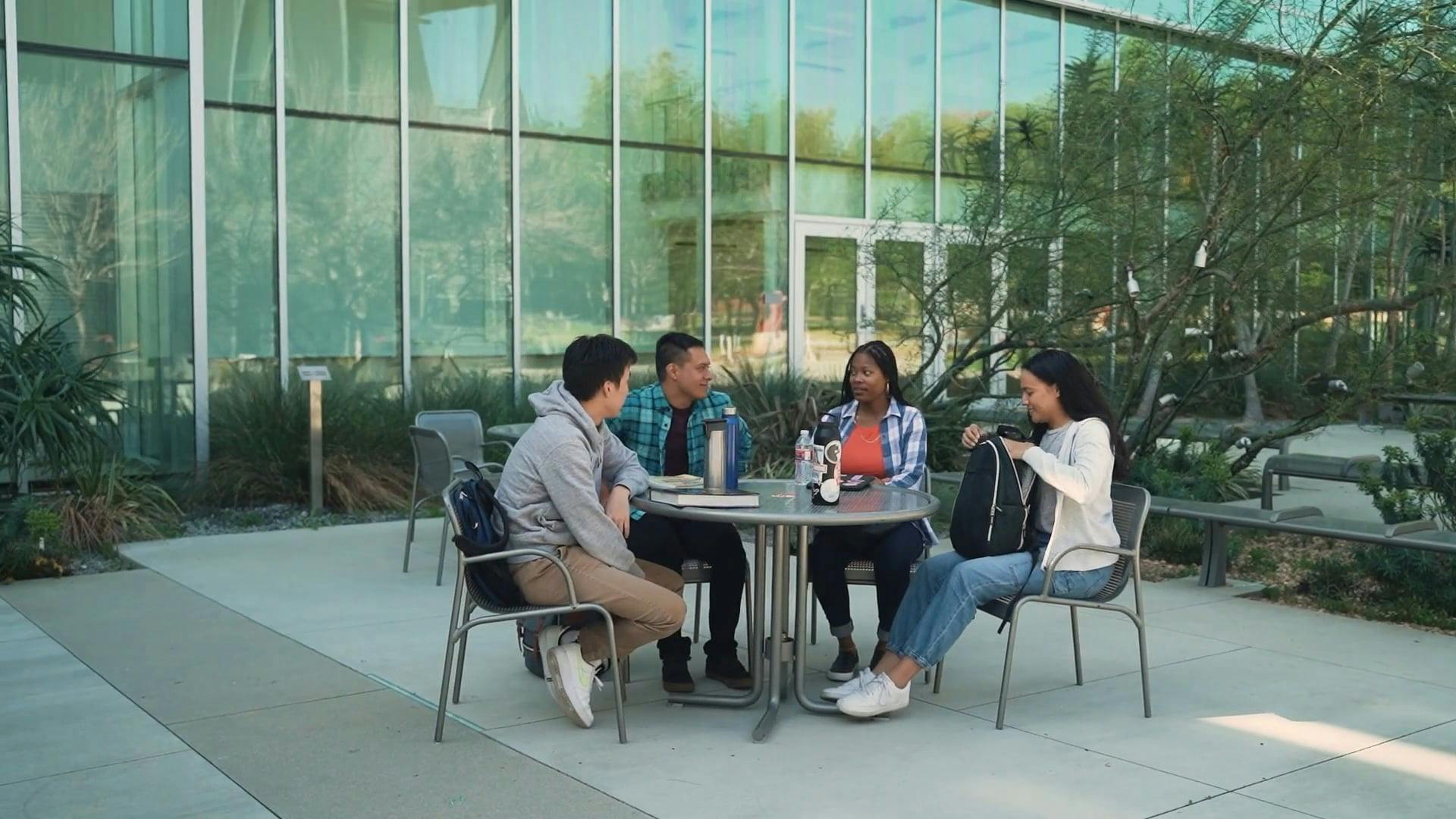 A Group of Students Chilling And Laughing Free Stock Video Footage ...